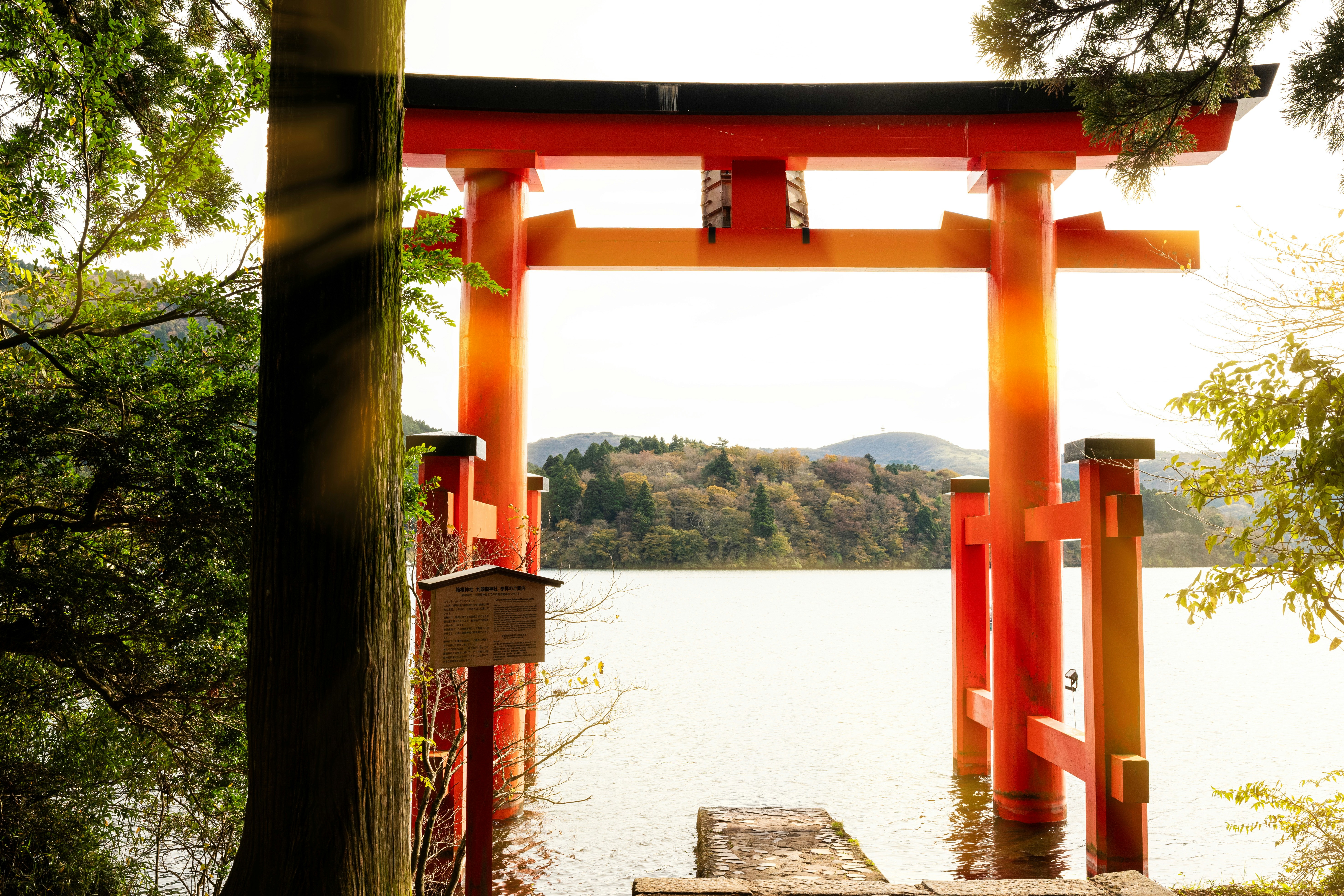 Serenity Framed by Torii