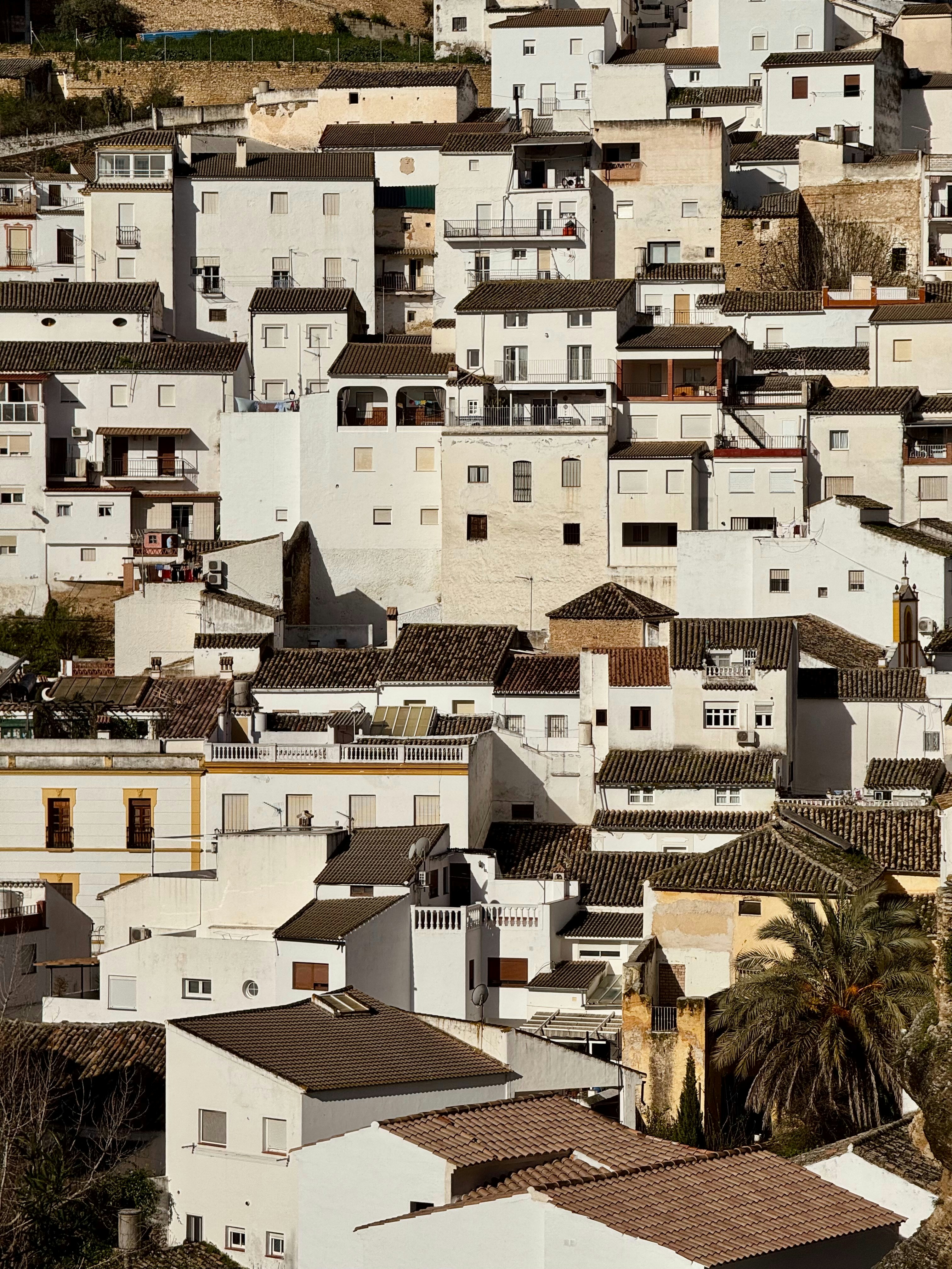 Cluster of white and beige buildings with varied rooftops and a palm tree in sunlight.