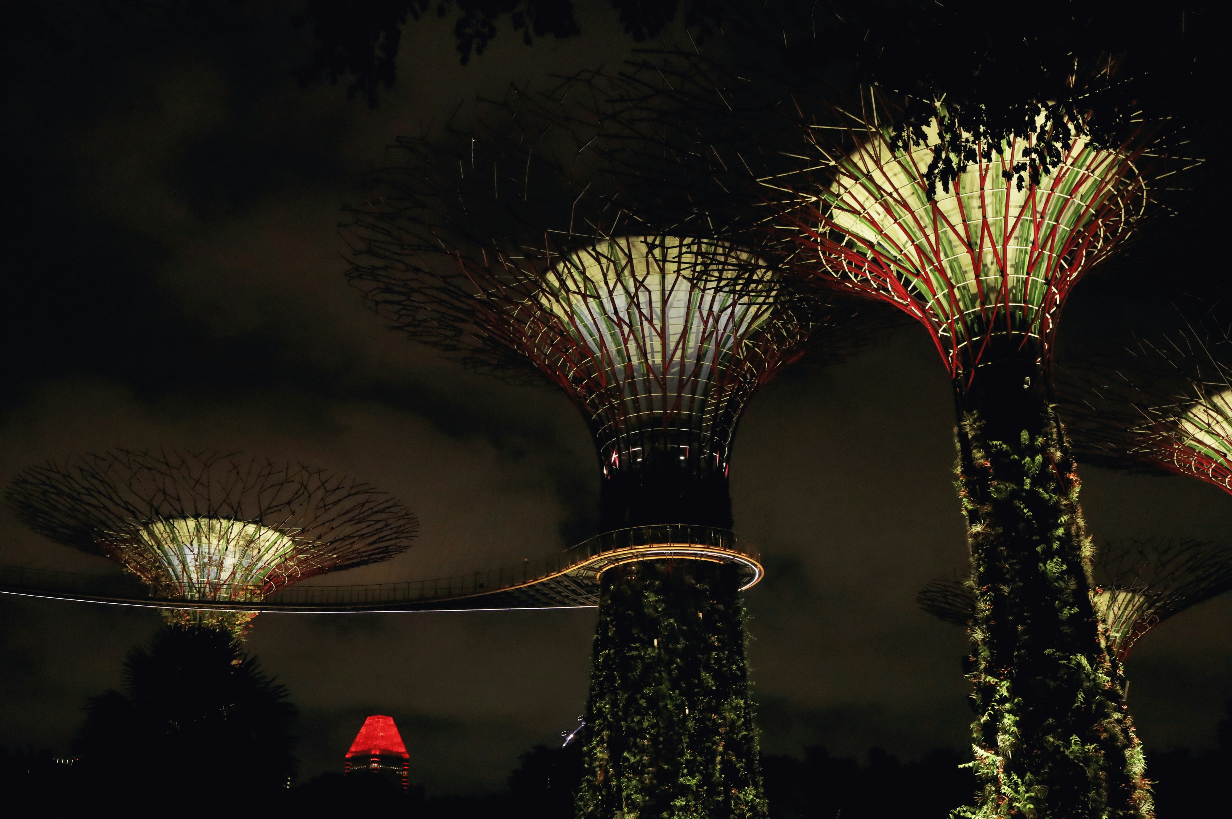 Illuminated tree-like structures with glowing canopies in a dark sky.