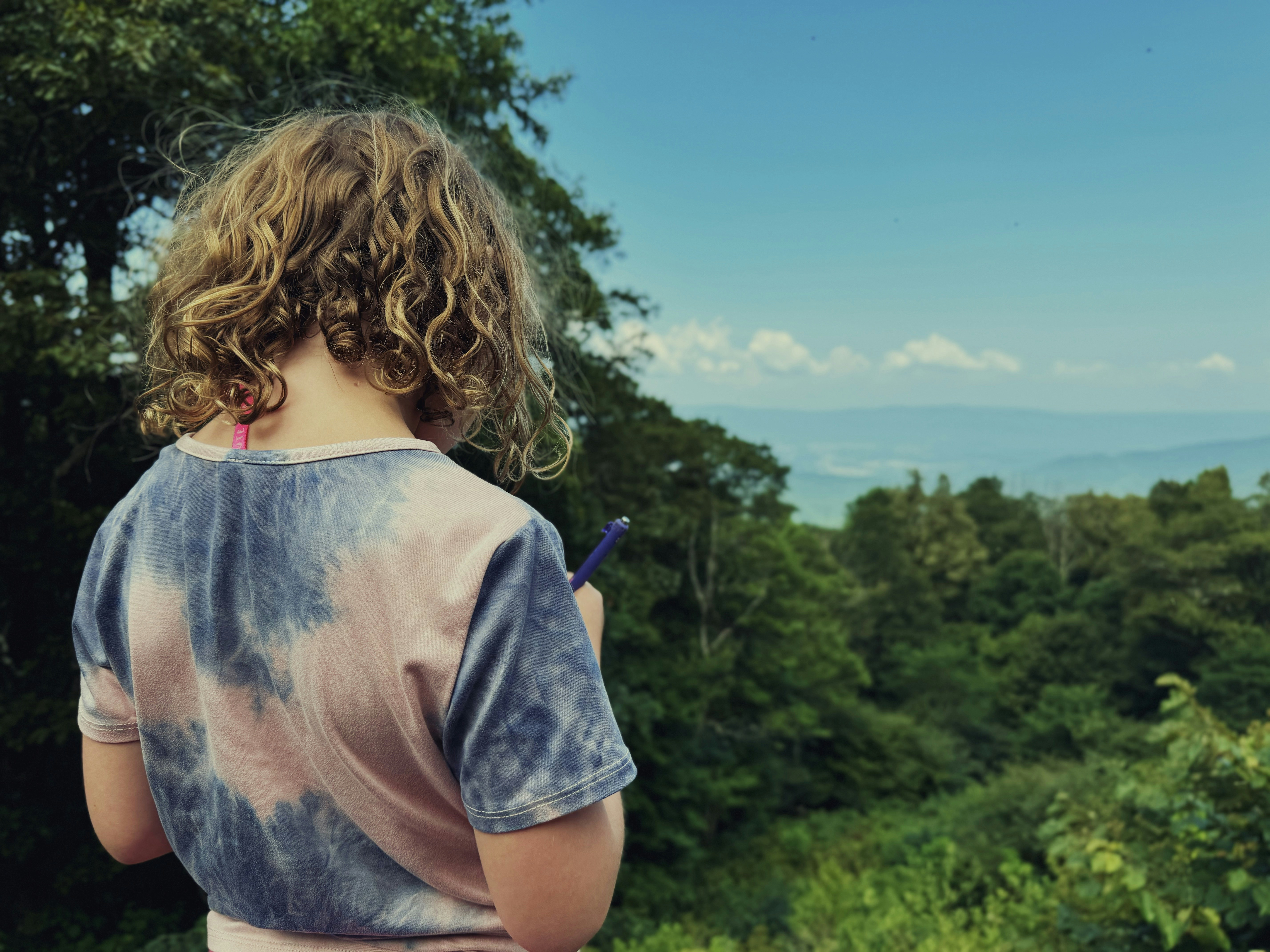 Portrait of a Little Artist in a Sunlit Forest Clearing