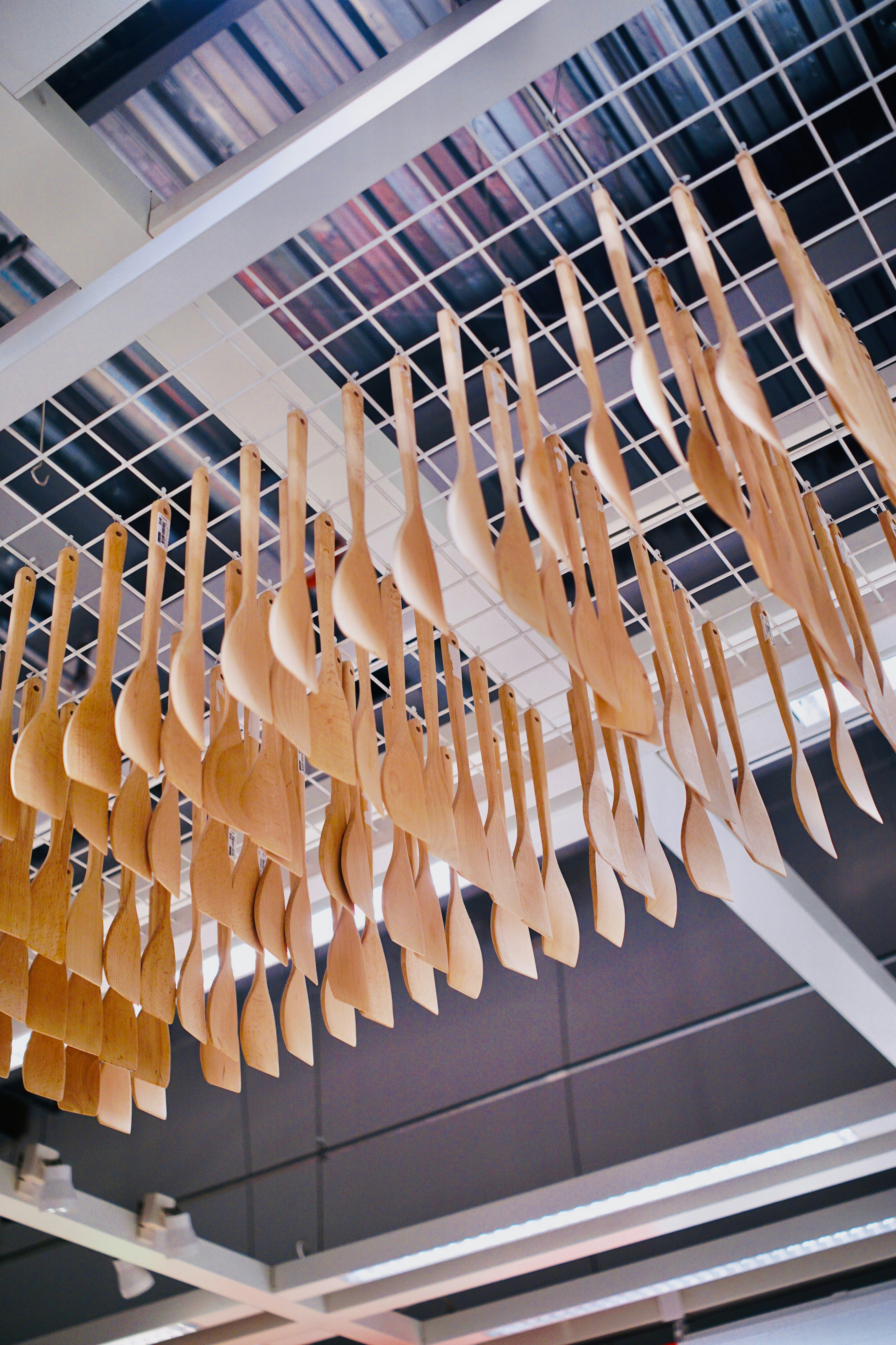 Rhythm in Wood: Leaves Hanging Under a Grid Ceiling