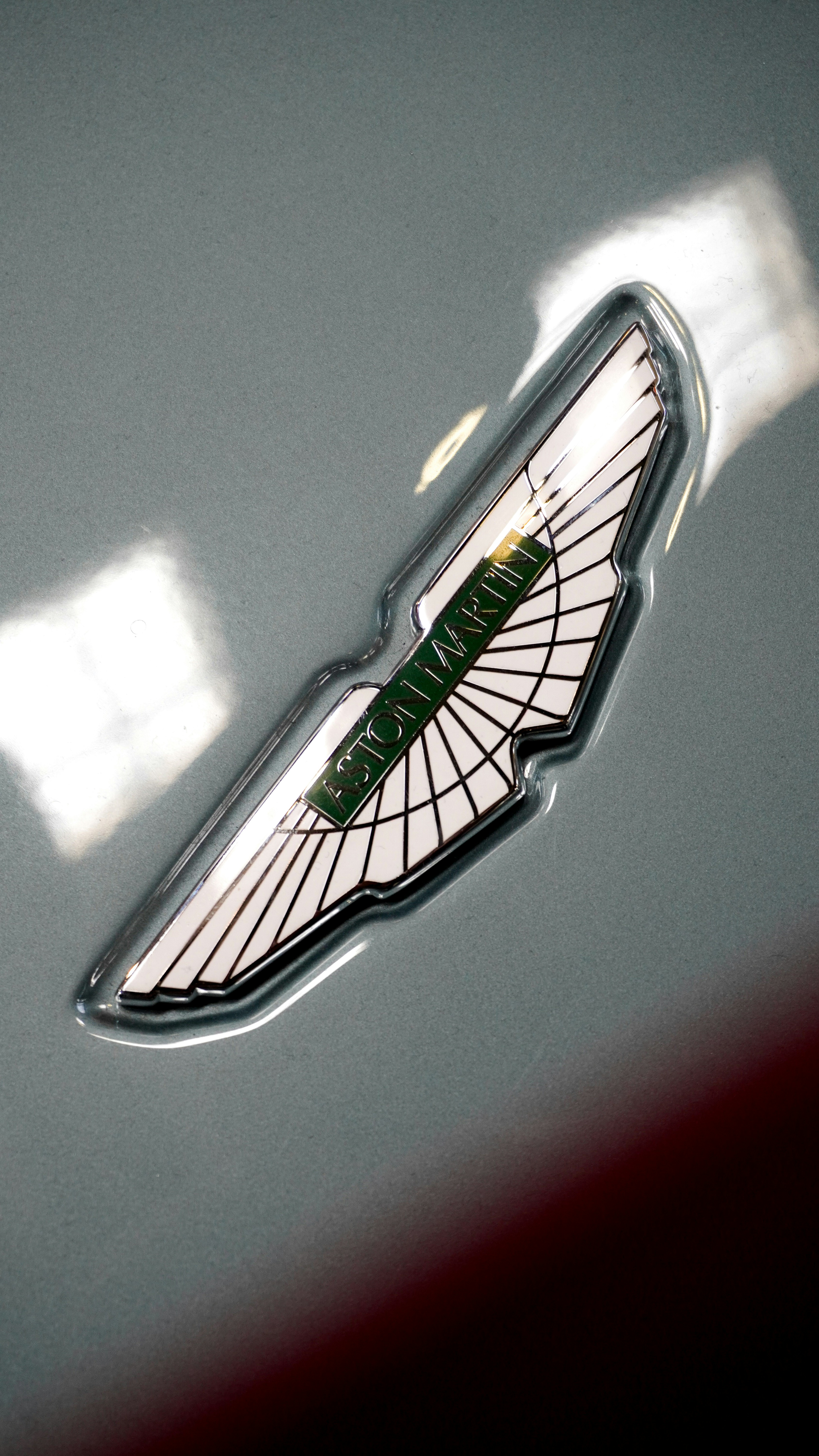 Winged emblem in chrome: the Aston Martin badge on a matte gray hood