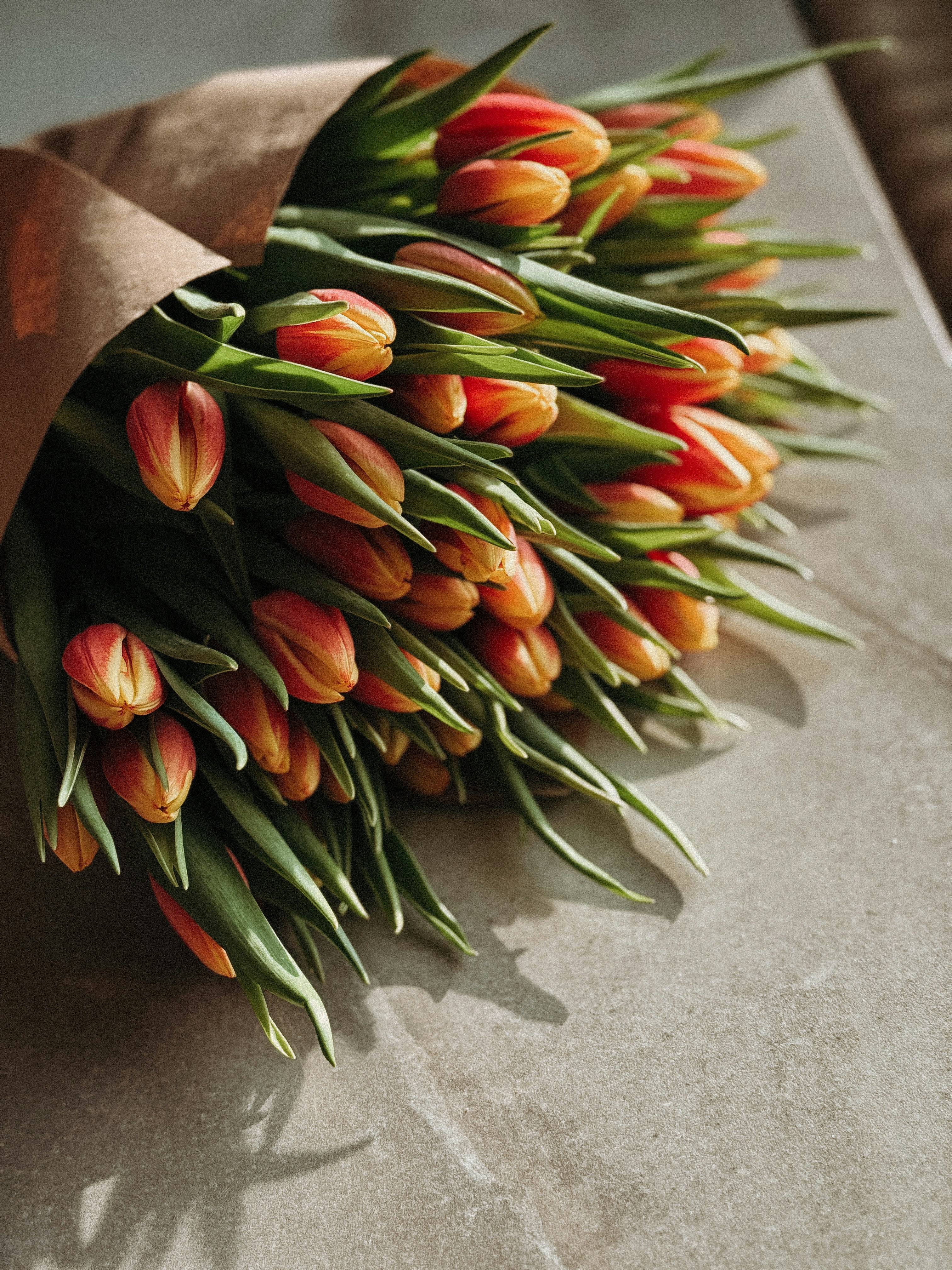 Petaled Ember: Orange Tulips Wrapped in Kraft Paper