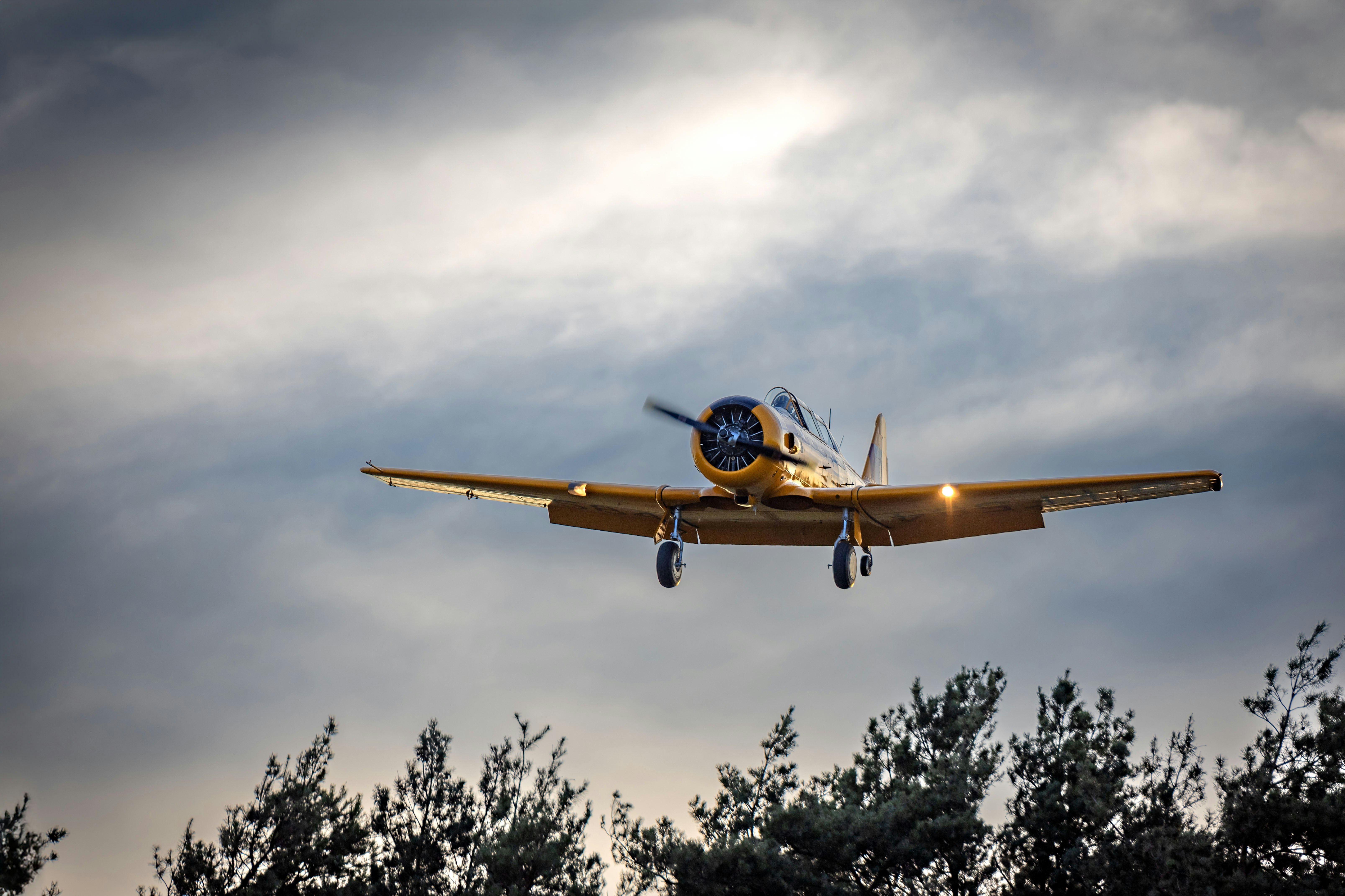 A yellow airplane is flying in a cloudy sky. photo – Free Animal Image ...
