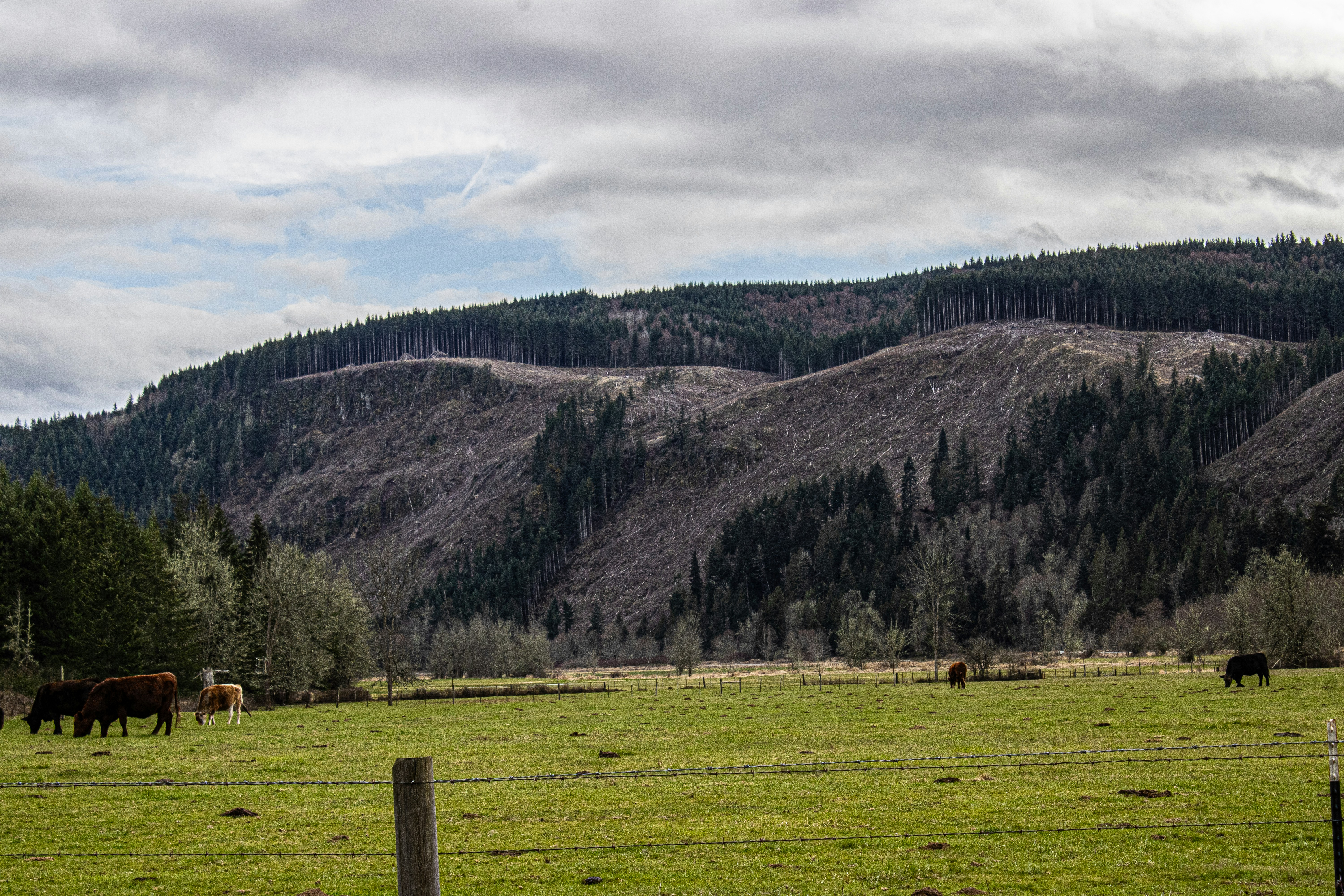 Blackstone Creek Butte Montana Pictures | Download Free Images on Unsplash