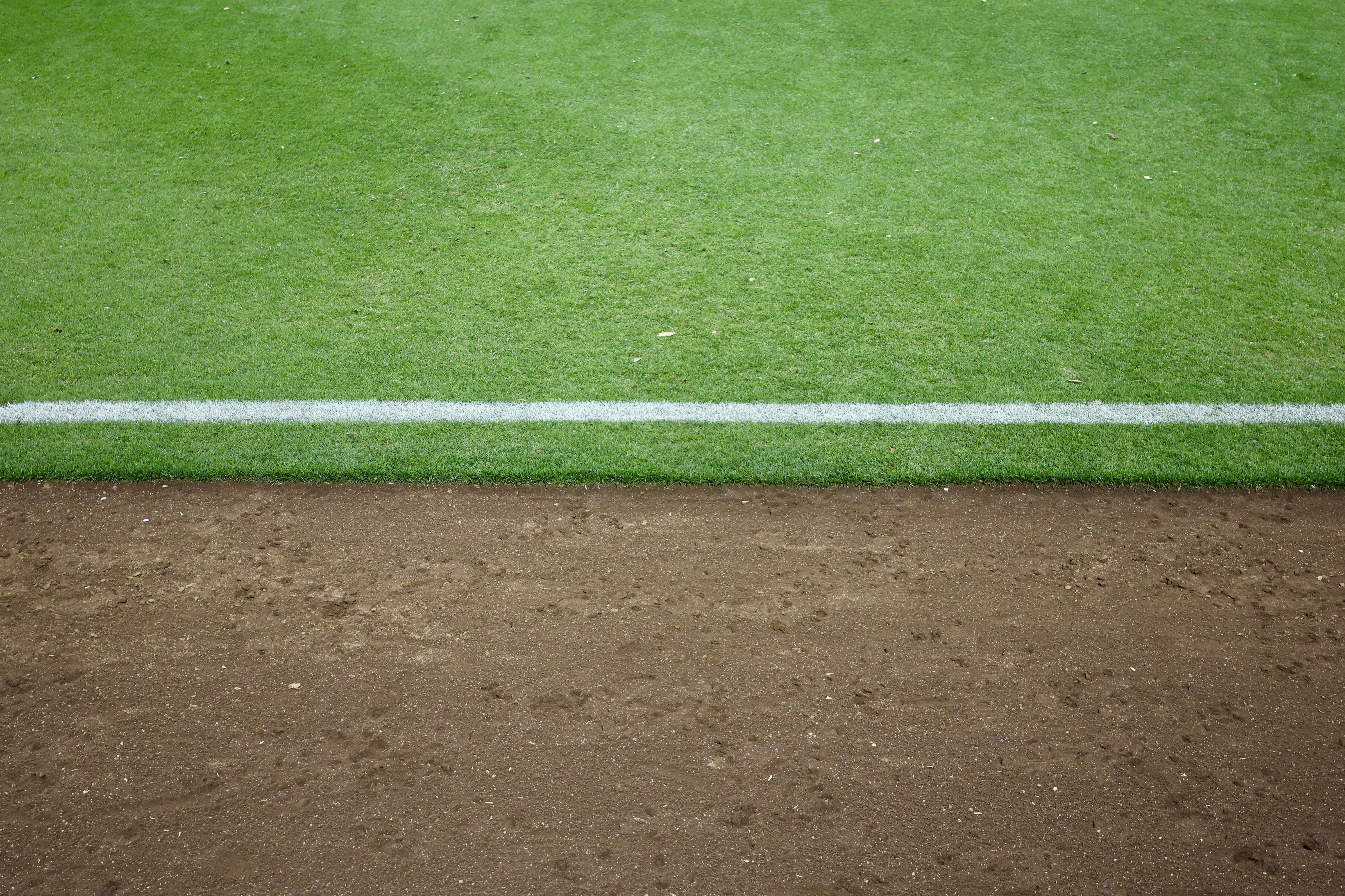 Where Grass Ends and Ground Begins: The Seam Across a Field