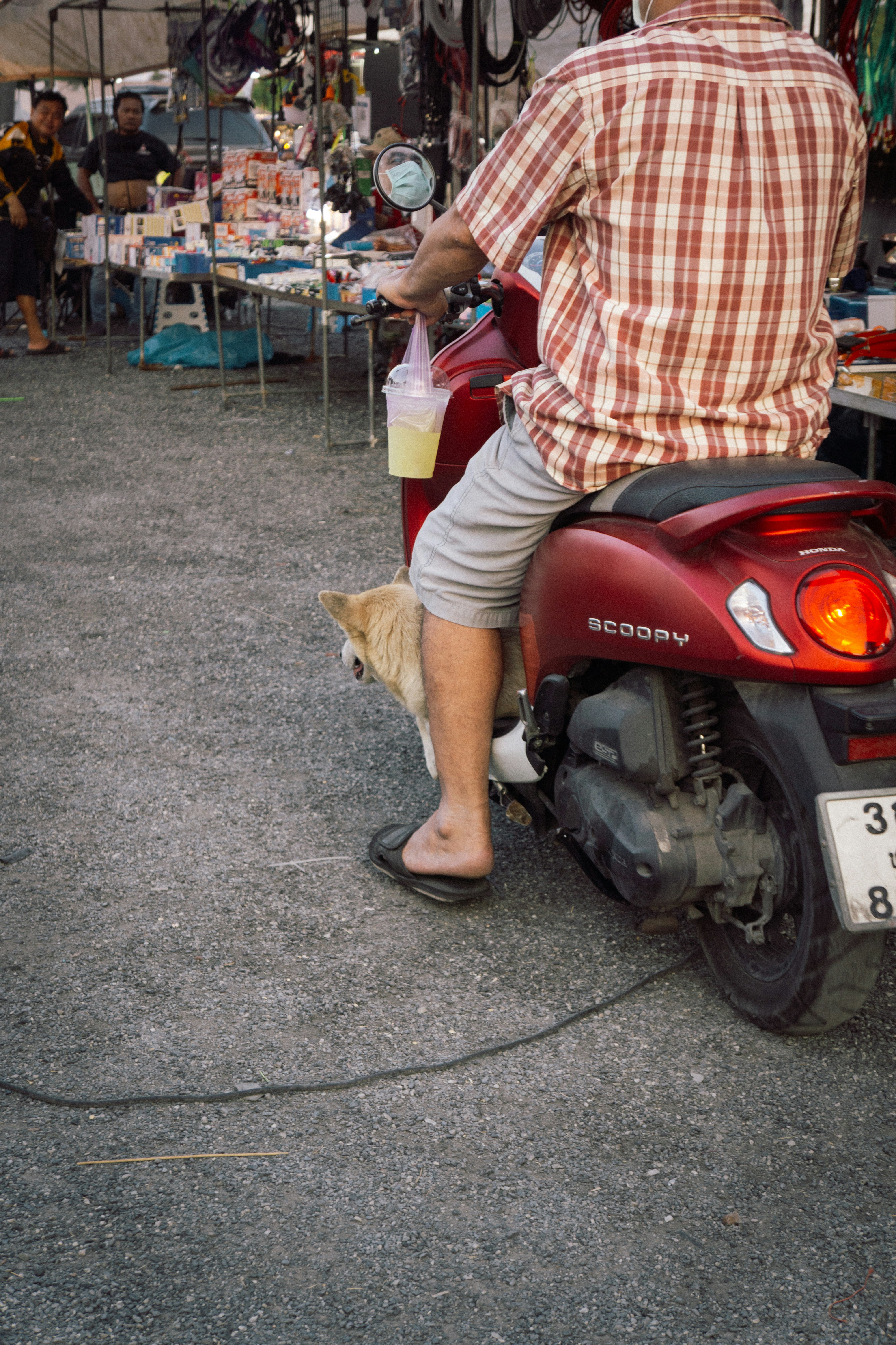 Red Scooter at a Bustling Market: A Dog's Quiet Pause Underneath