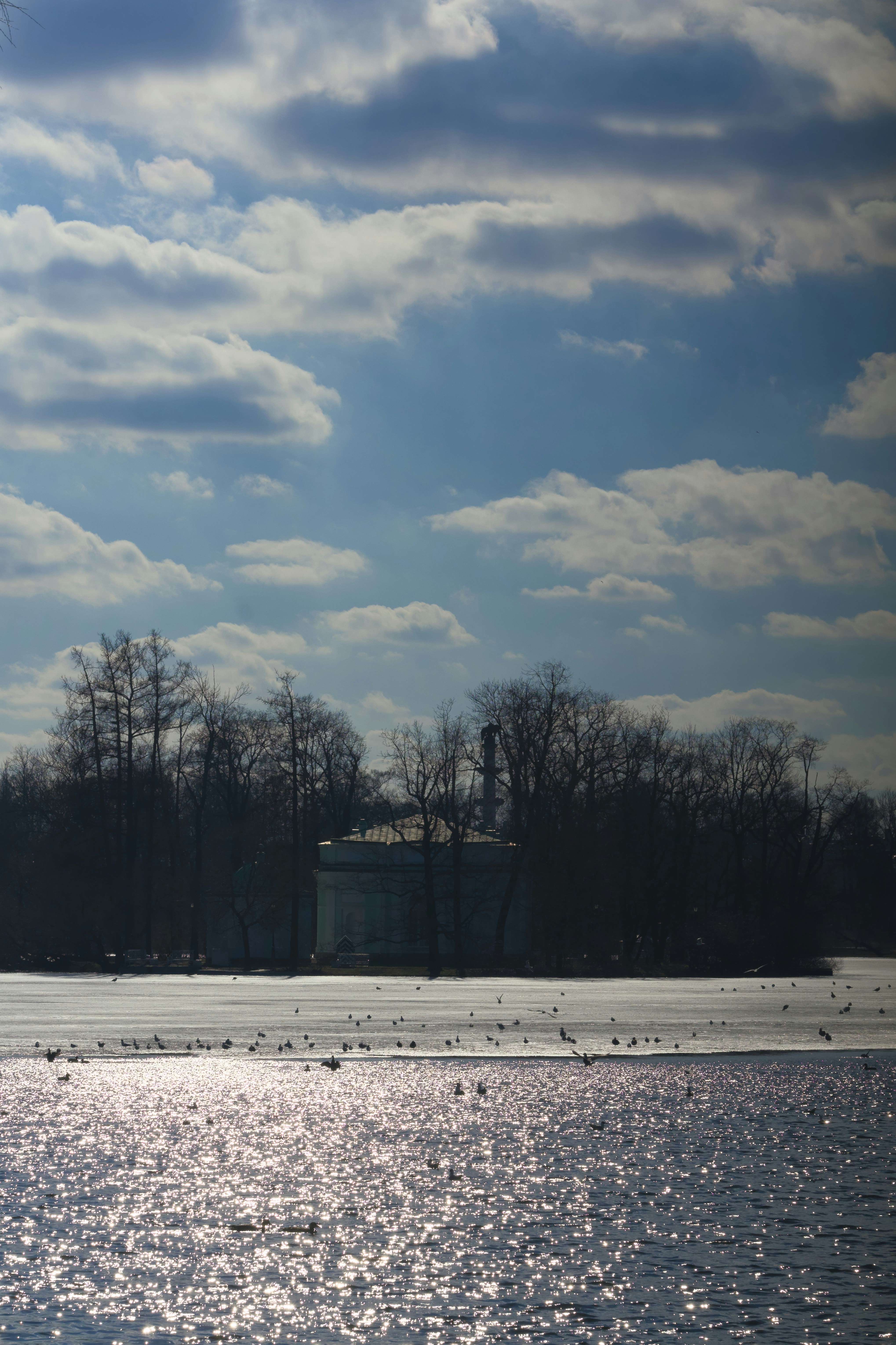 Reflections of Tranquility: A Winter's Embrace