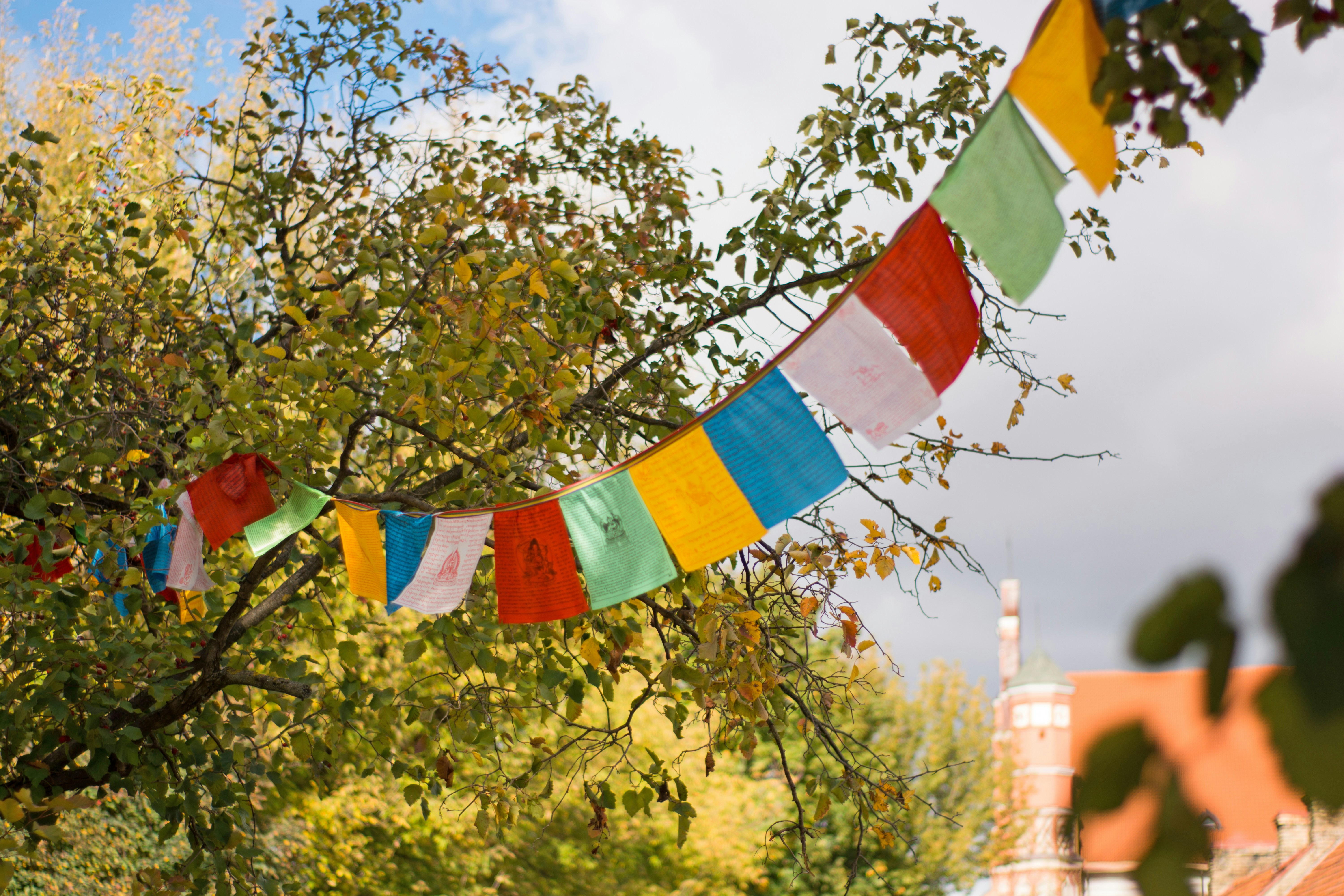 Colorful flags strung between trees with autumn foliage, set against a partly cloudy sky.
