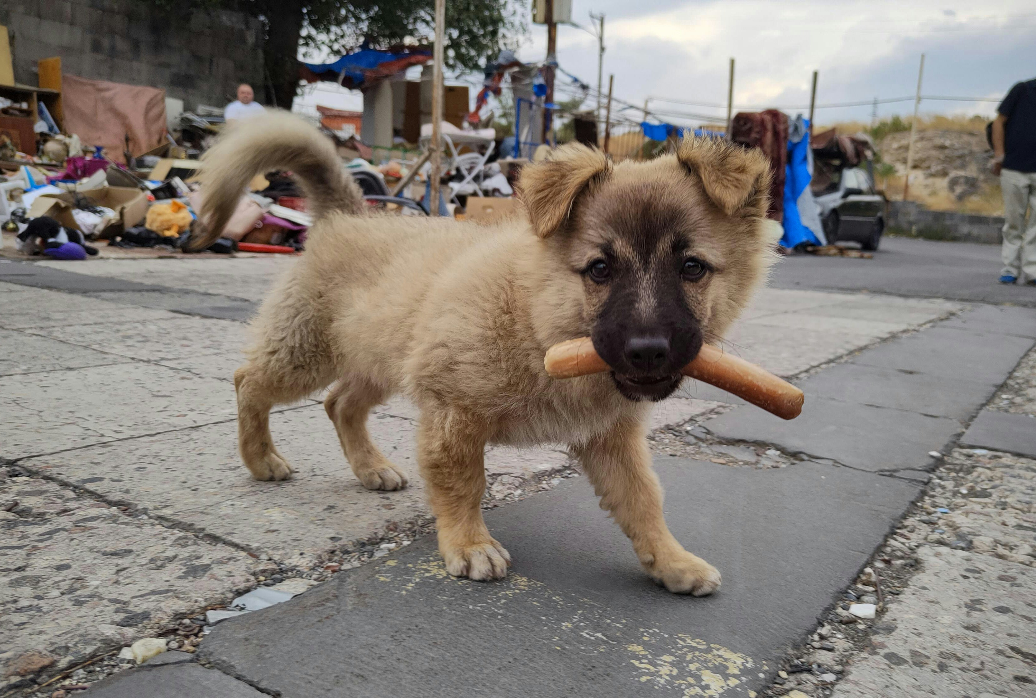 Photo by Alexander Gluschenko with Realme 8 Pro