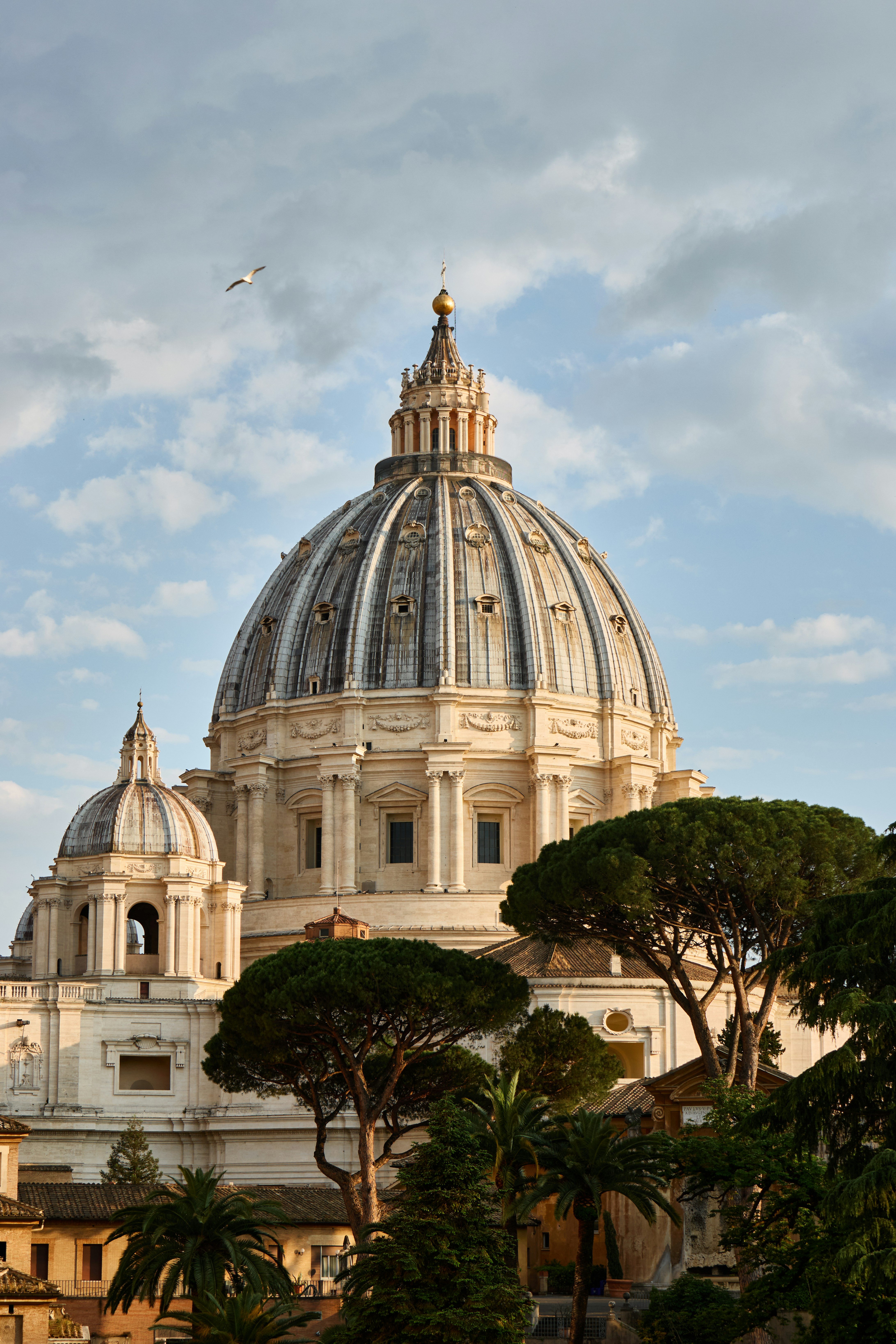 St. Peter's Basilica dome framed by trees under a cloudy sky.