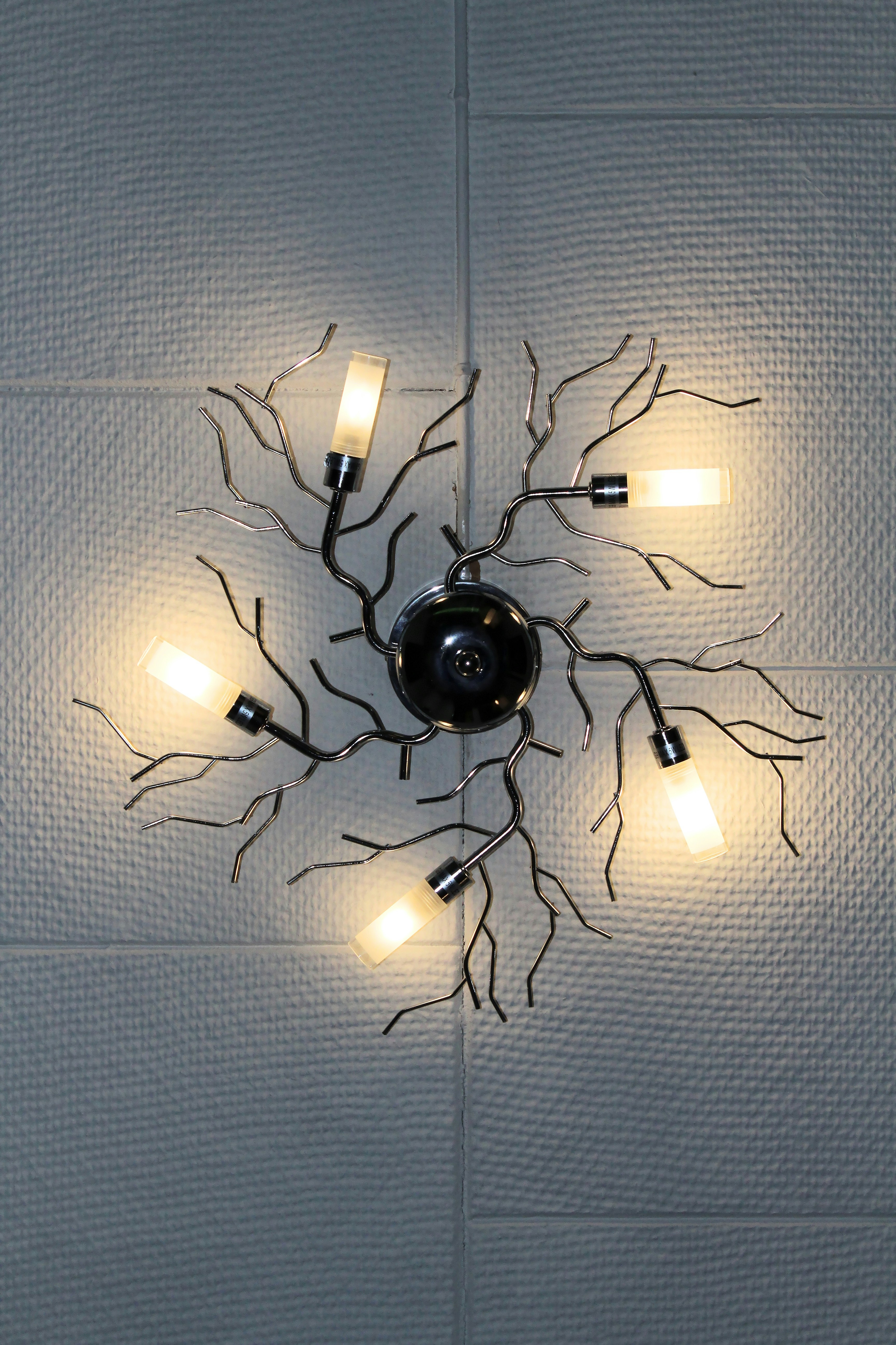 Anne Nygård (@polarmermaid) | Unsplash Photo Community