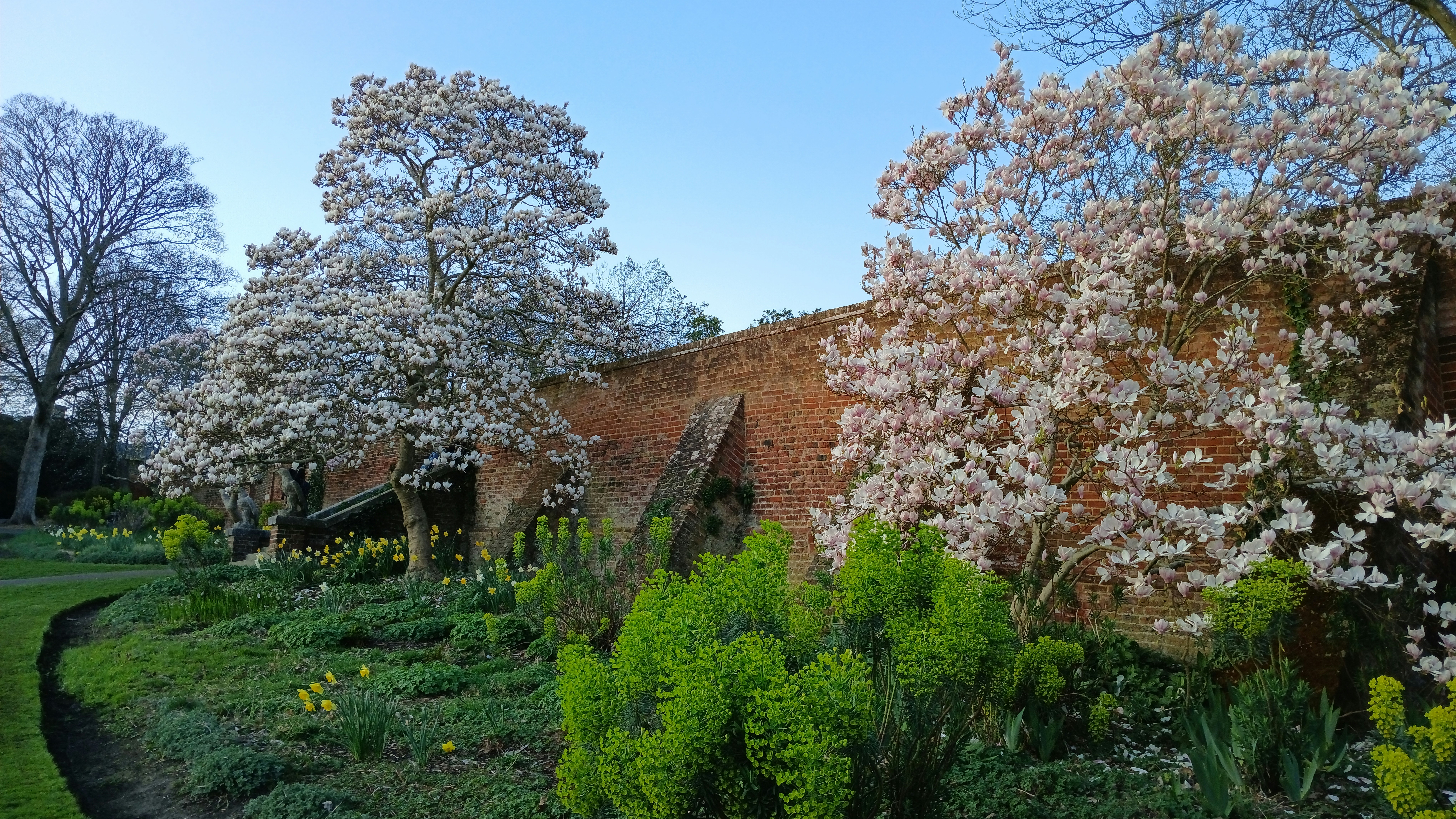 Sunlit garden scene with blooming trees along a weathered brick wall and a border of bright shrubs. A tranquil path curves beside the wall, emphasizing springtime calm.