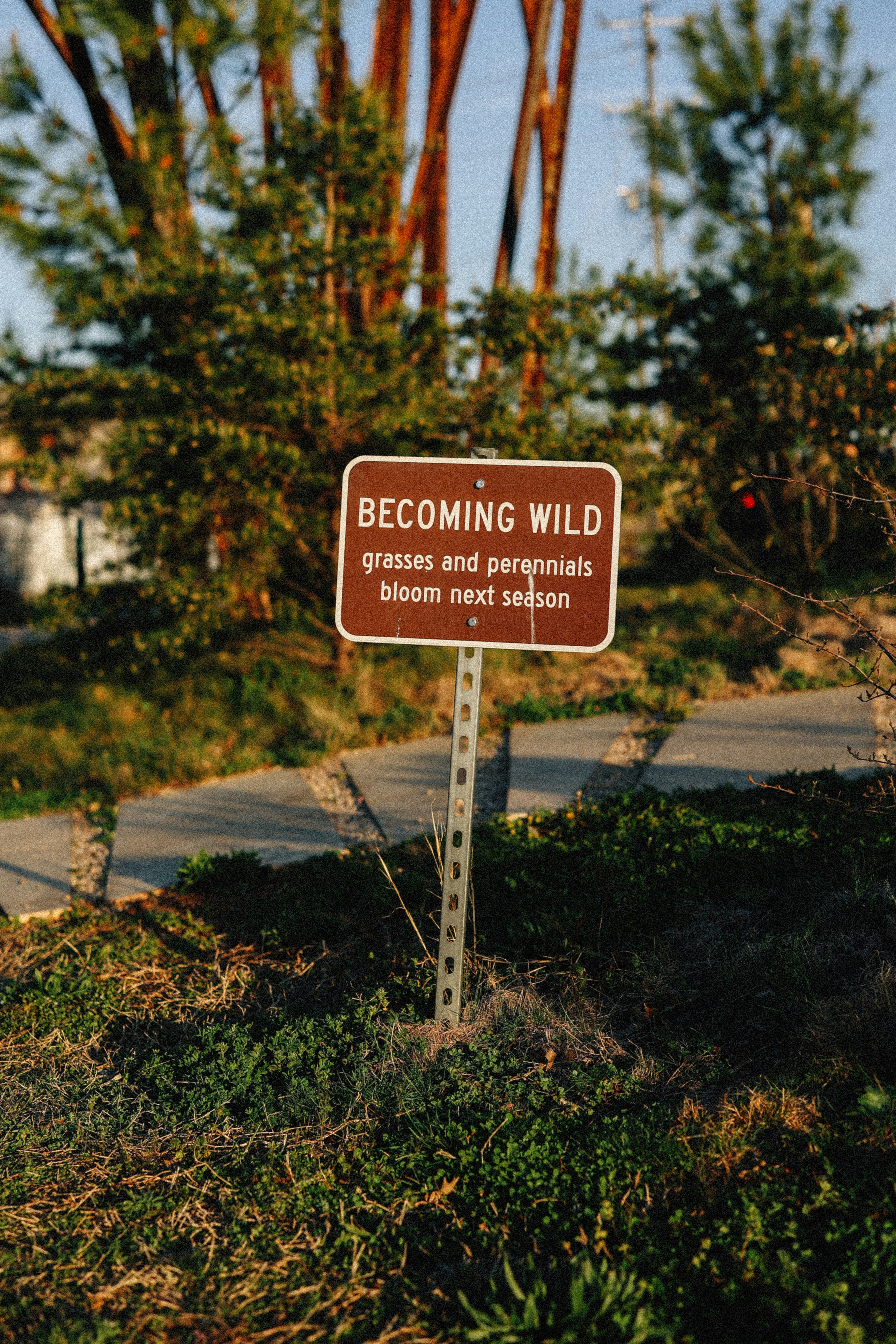 Photo by Brooke Balentine with Canon EOS R6