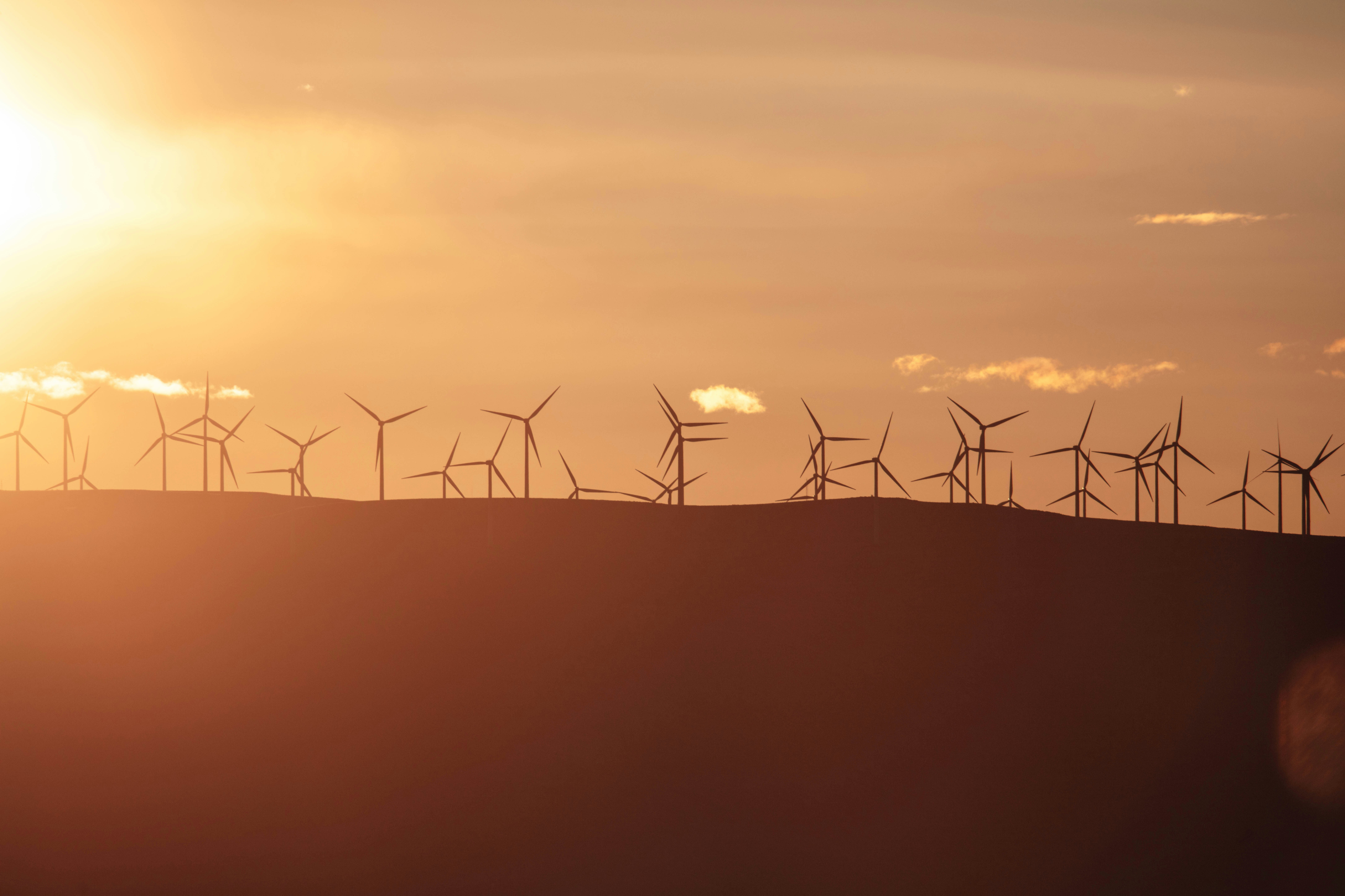 Wind turbines stand silhouetted against a sunset. photo – Free Scenery ...