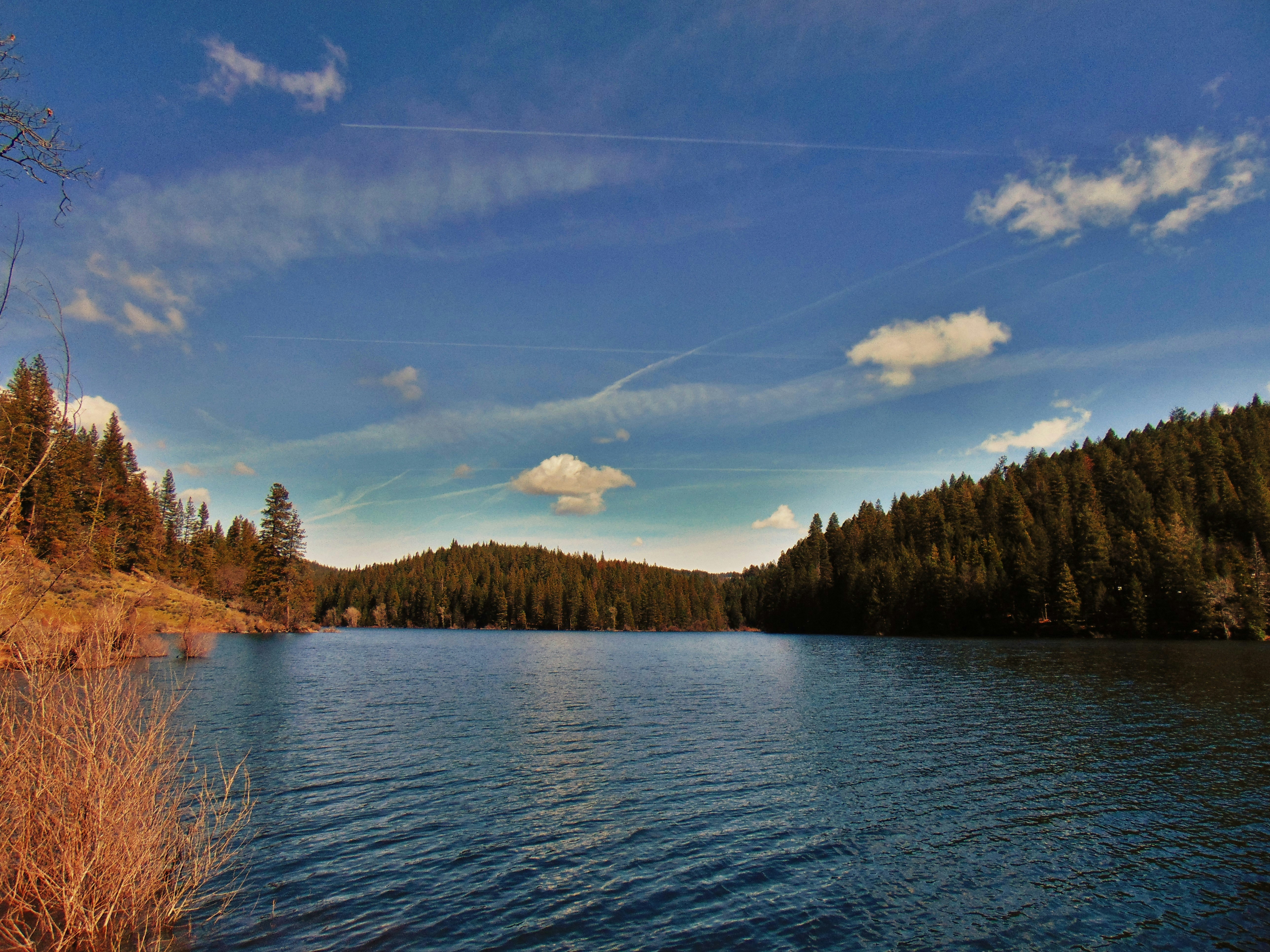 Tranquil lake bordered by dense forest under a clear blue sky with scattered clouds.