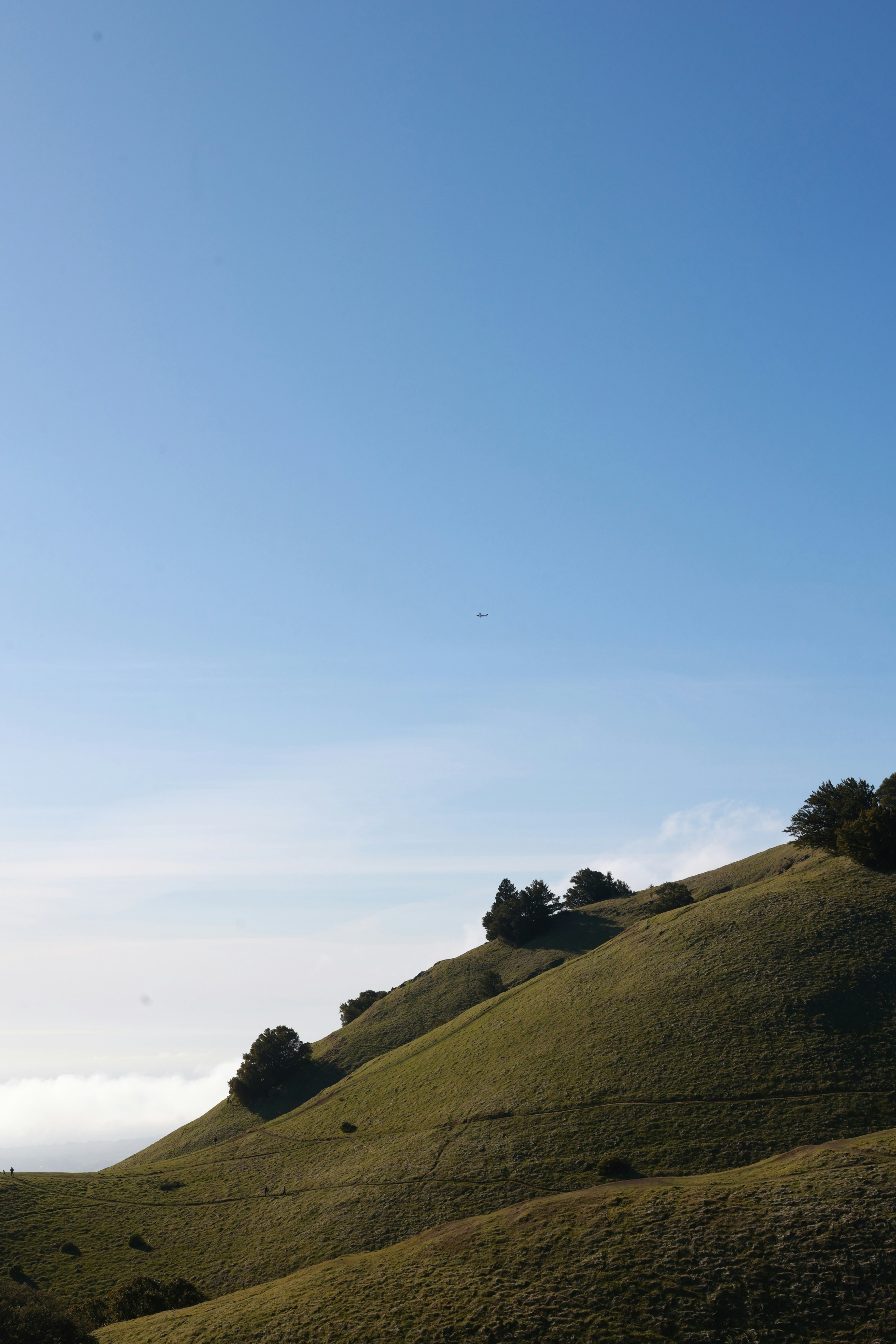 Gently sloping green hills topped with sparse trees against a clear blue sky.