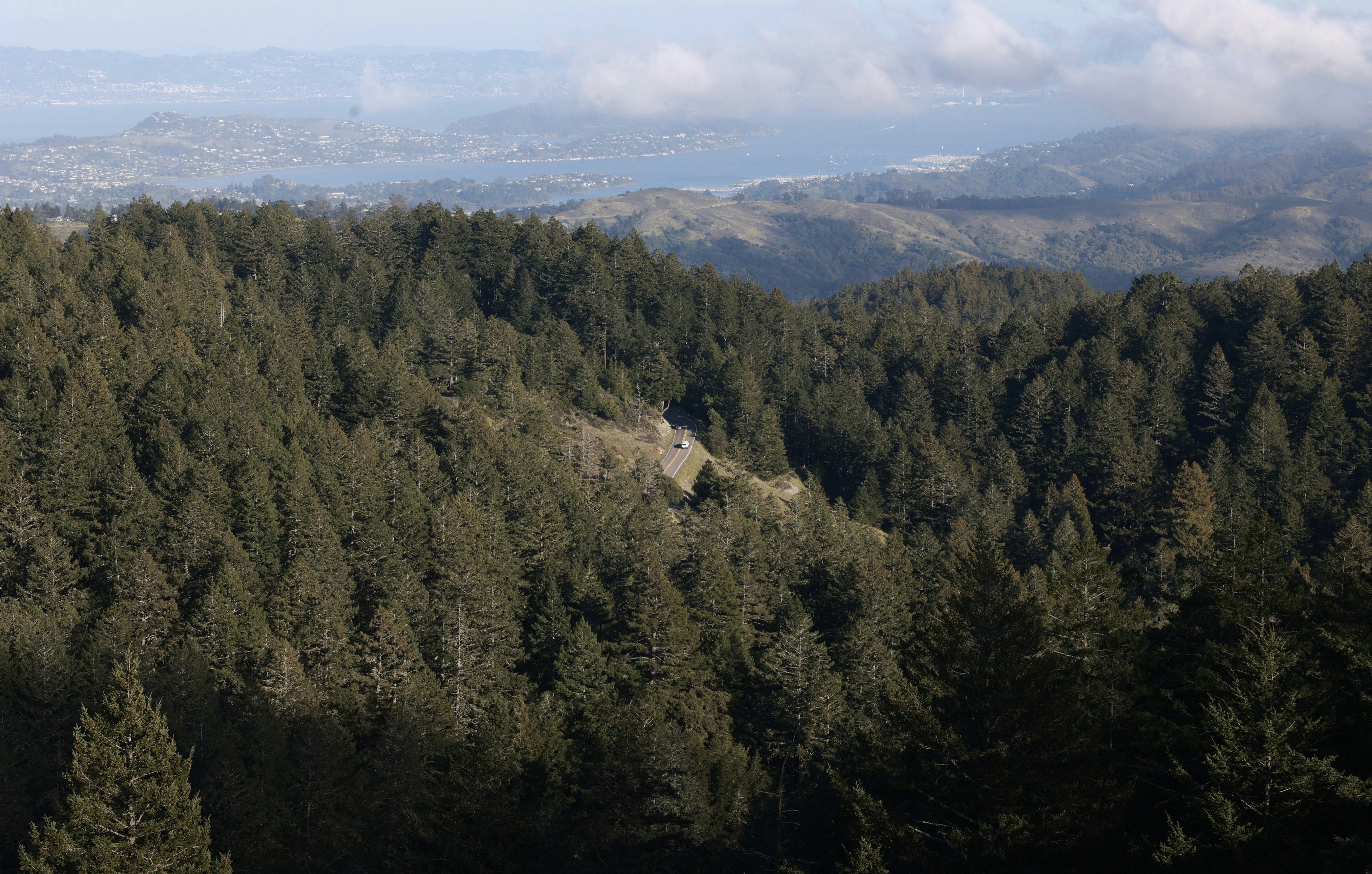 Expansive view of a lush forest landscape with rolling hills and distant mountains under a cloudy sky.