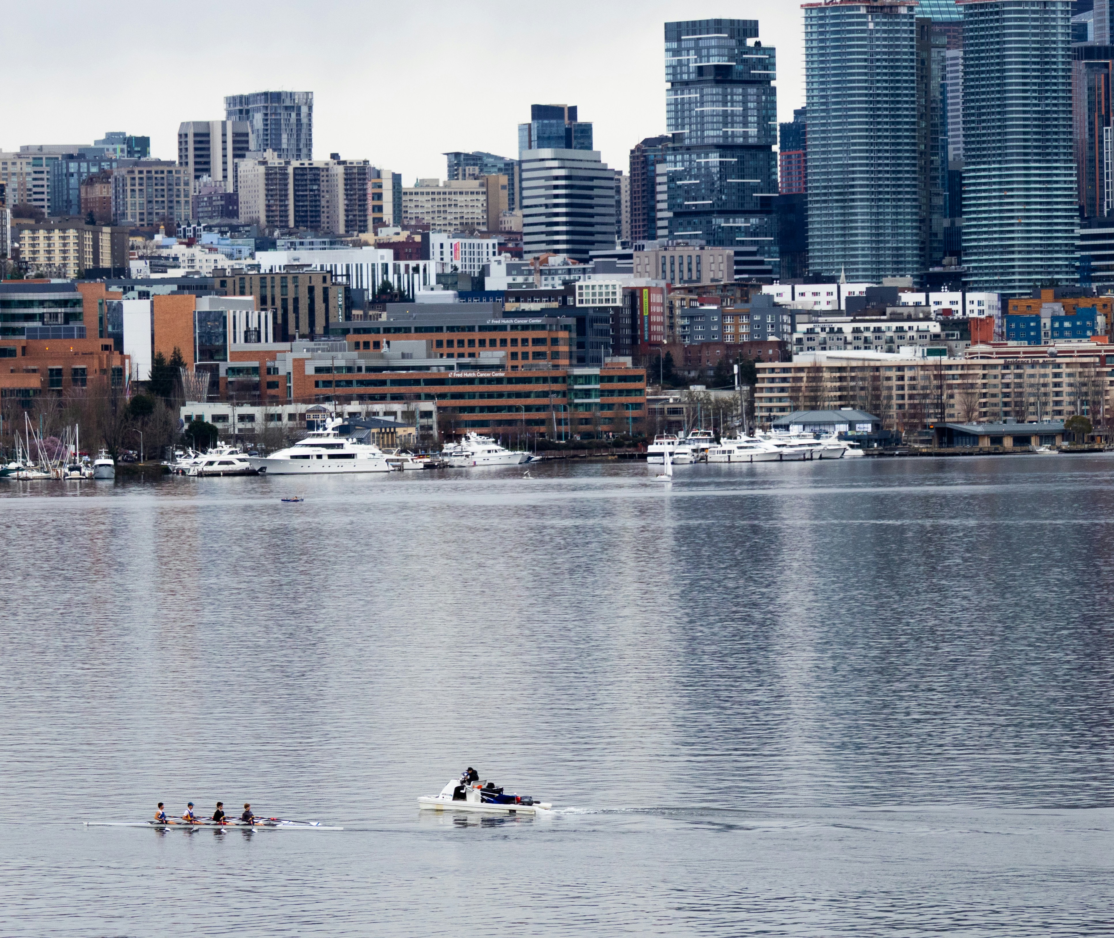 Rowers glide across a calm city river with a backdrop of towering skyscrapers and boats.