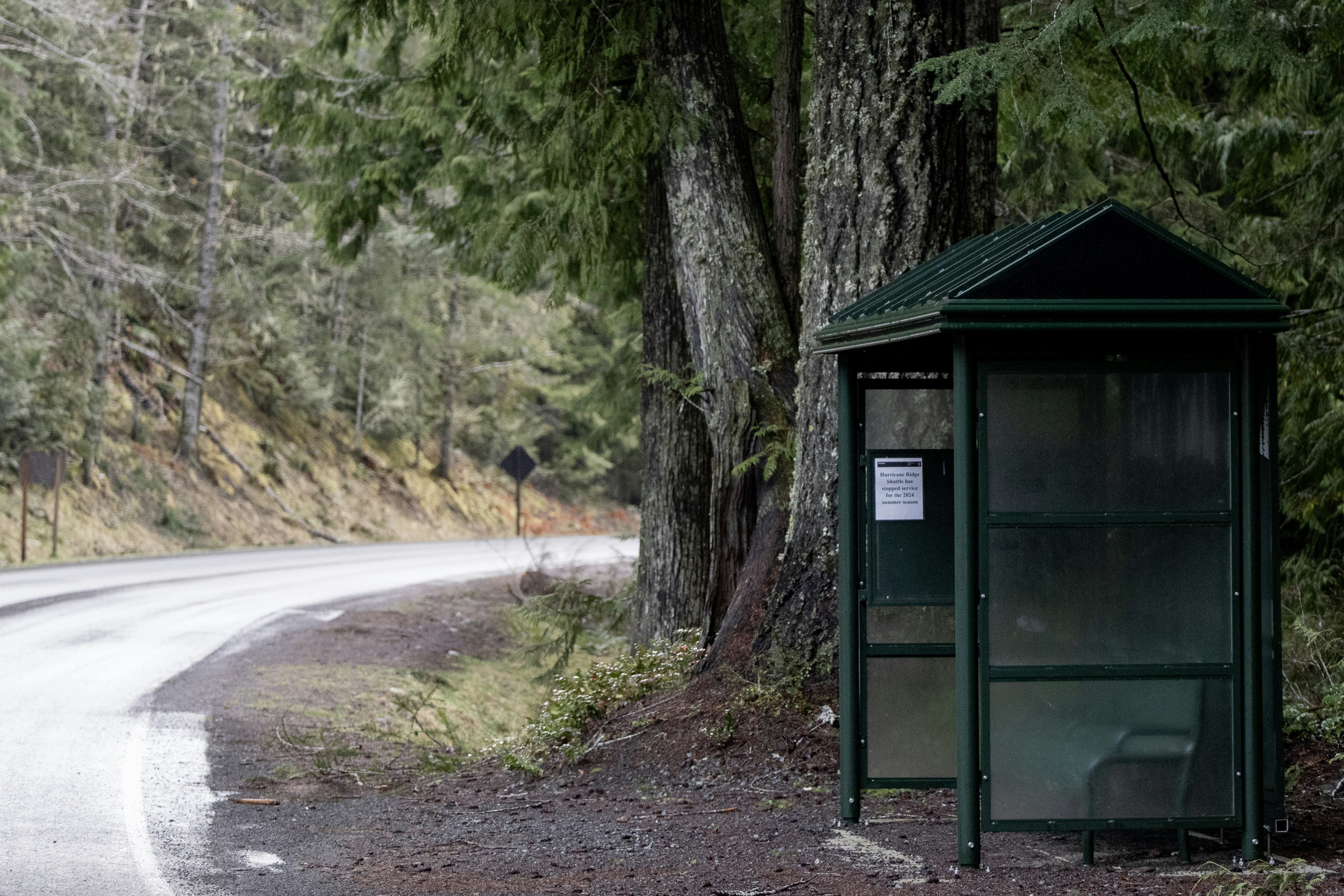 A lonely bus stop sits beside a winding road. photo – Free Road Image ...