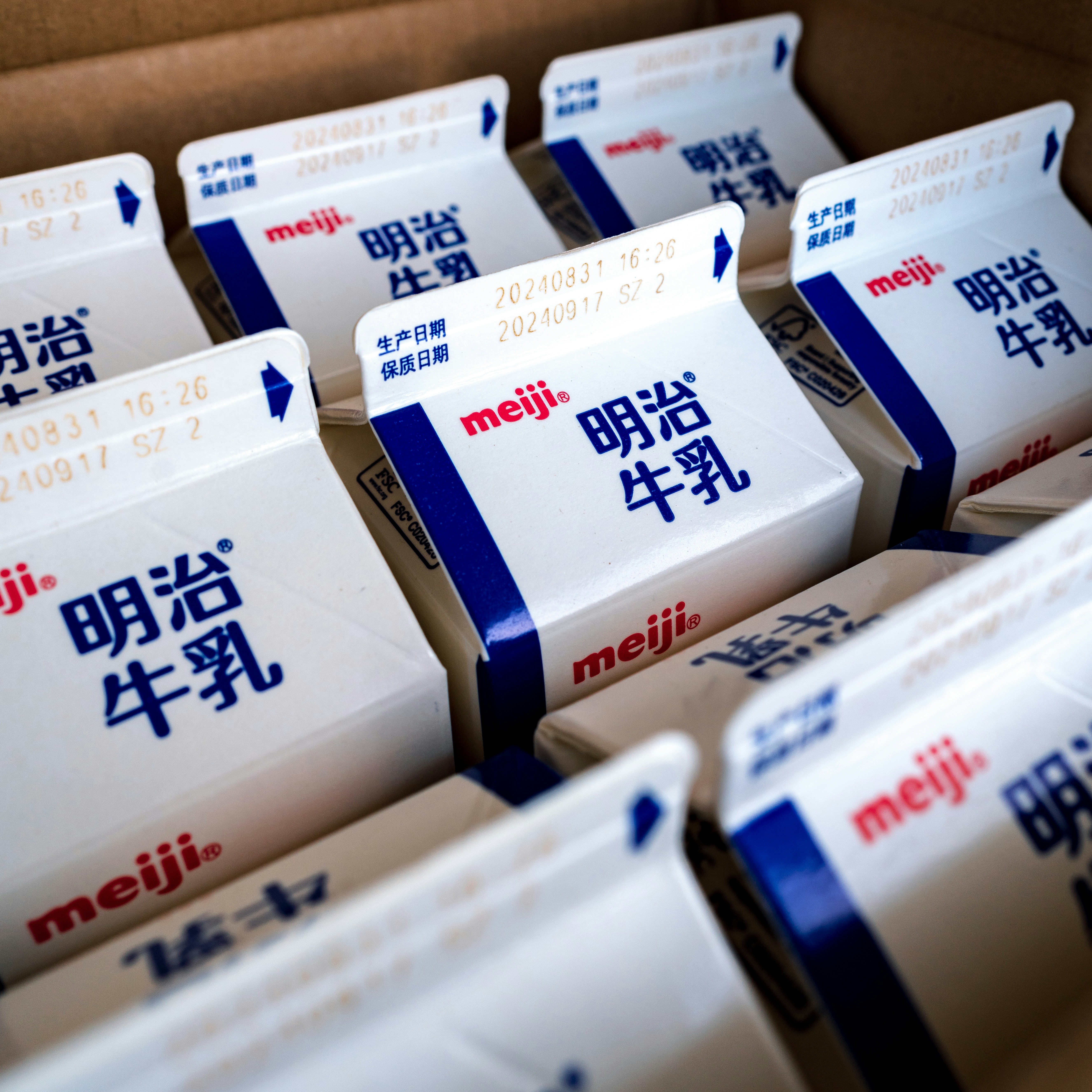 Meiji milk cartons neatly arranged in a box. photo – Free Text Image on ...