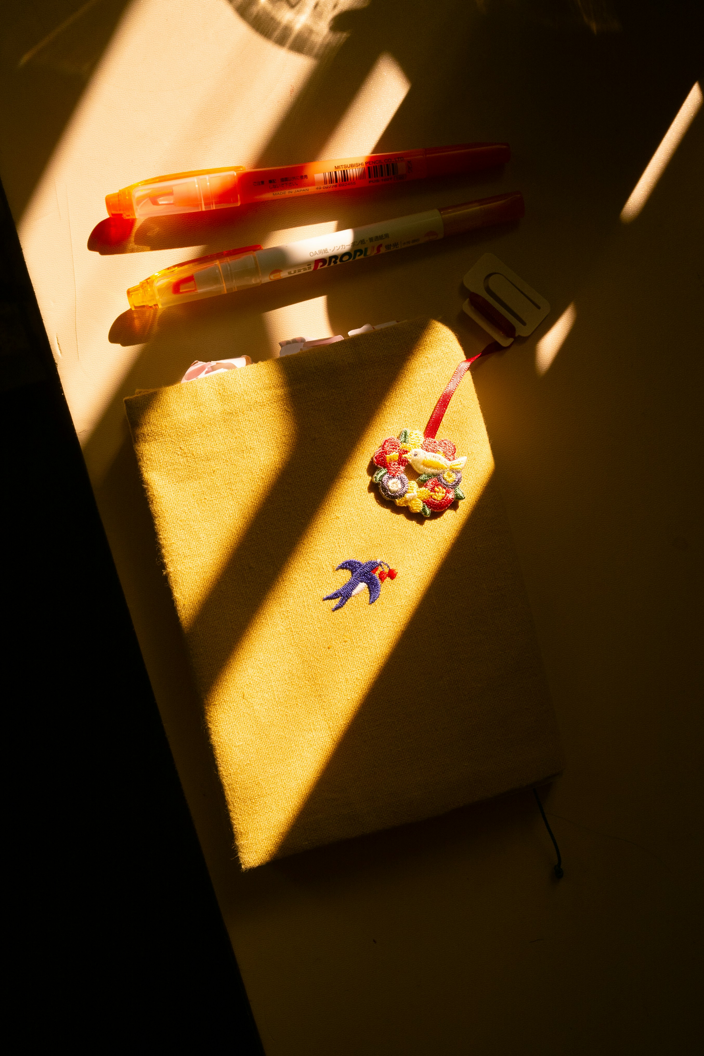 Illuminated Whimsy: A Study in Shadows and Color