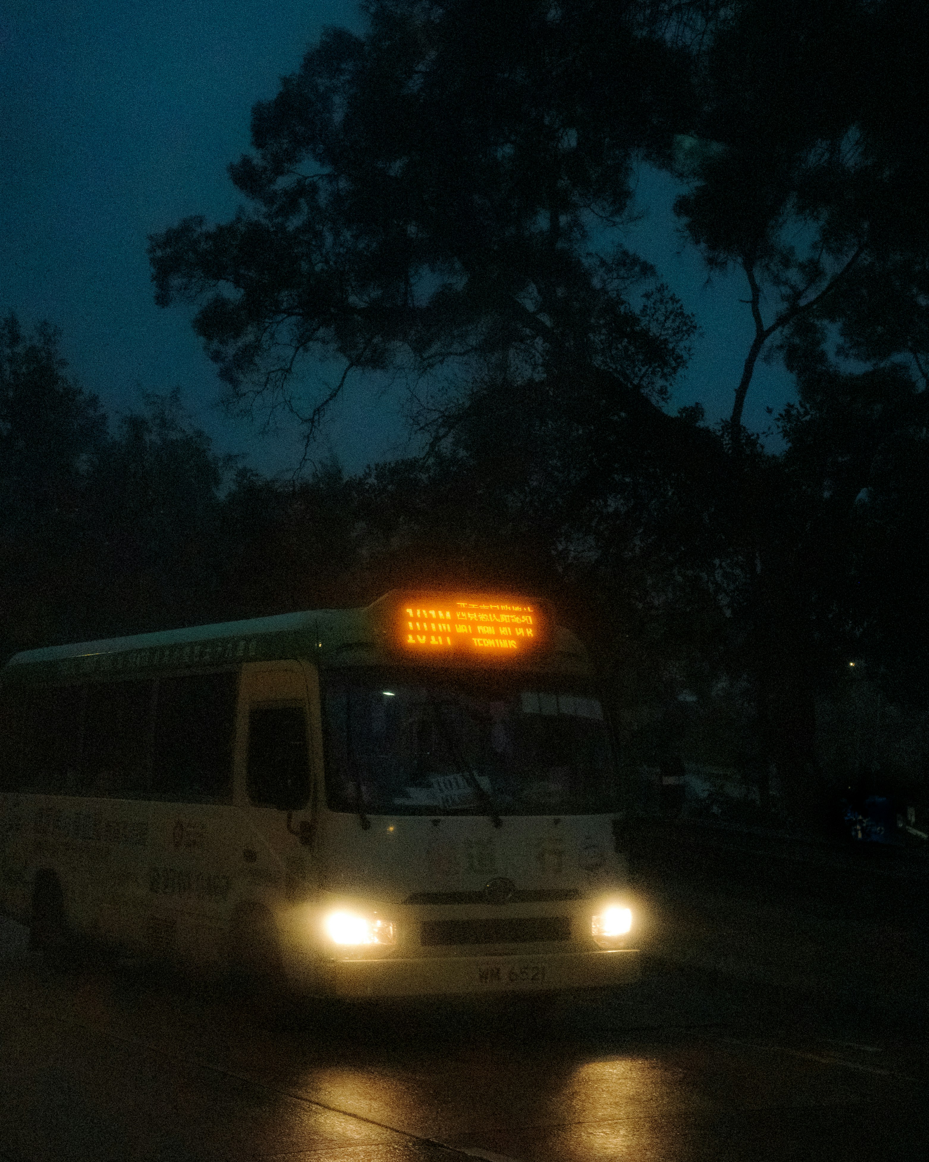 Bus with headlights on navigates a dimly lit street lined with silhouetted trees at dusk.
