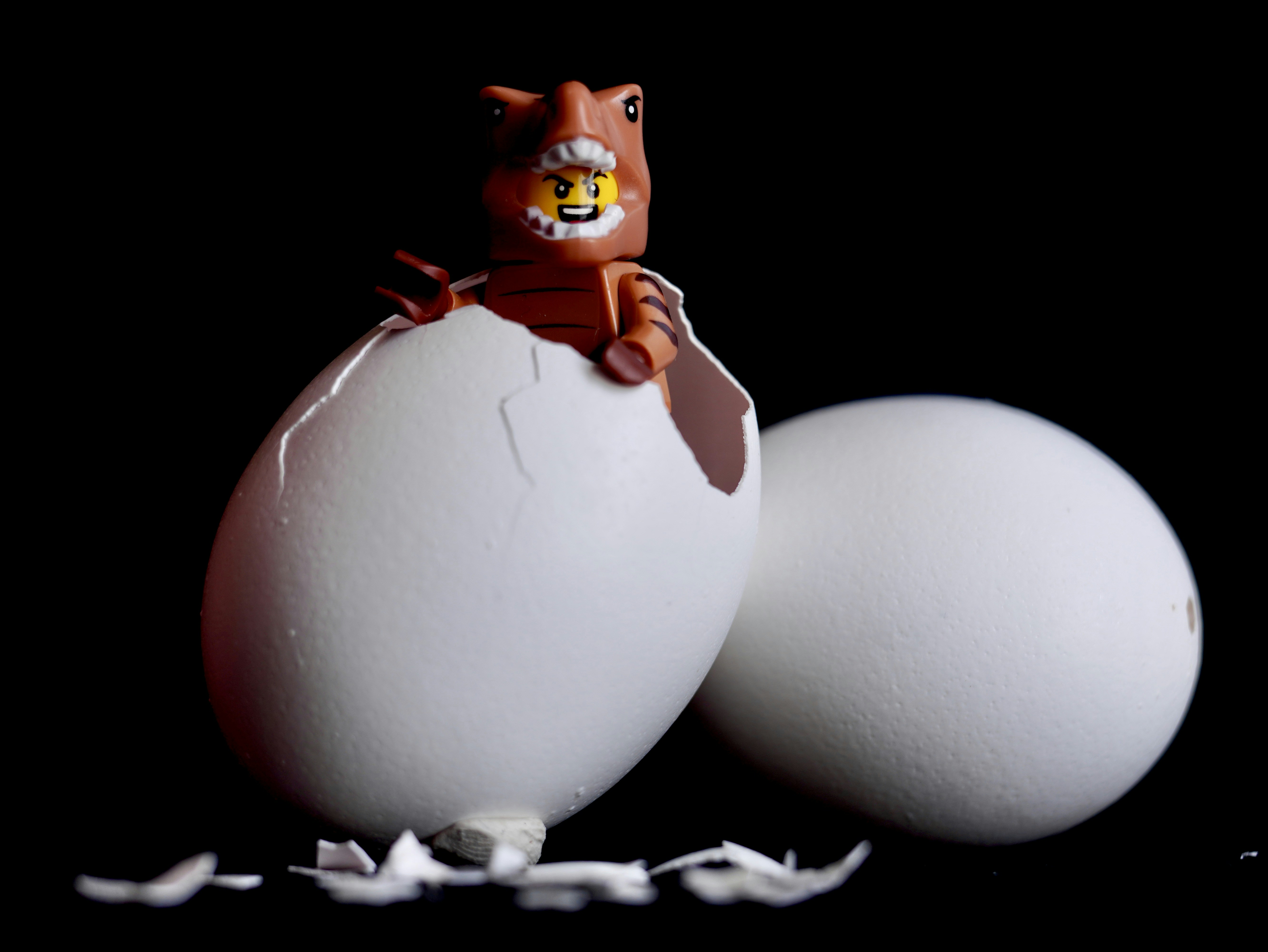 Cracked Egg Citadel: A Miniature Fiend Guards the Shadow Stage