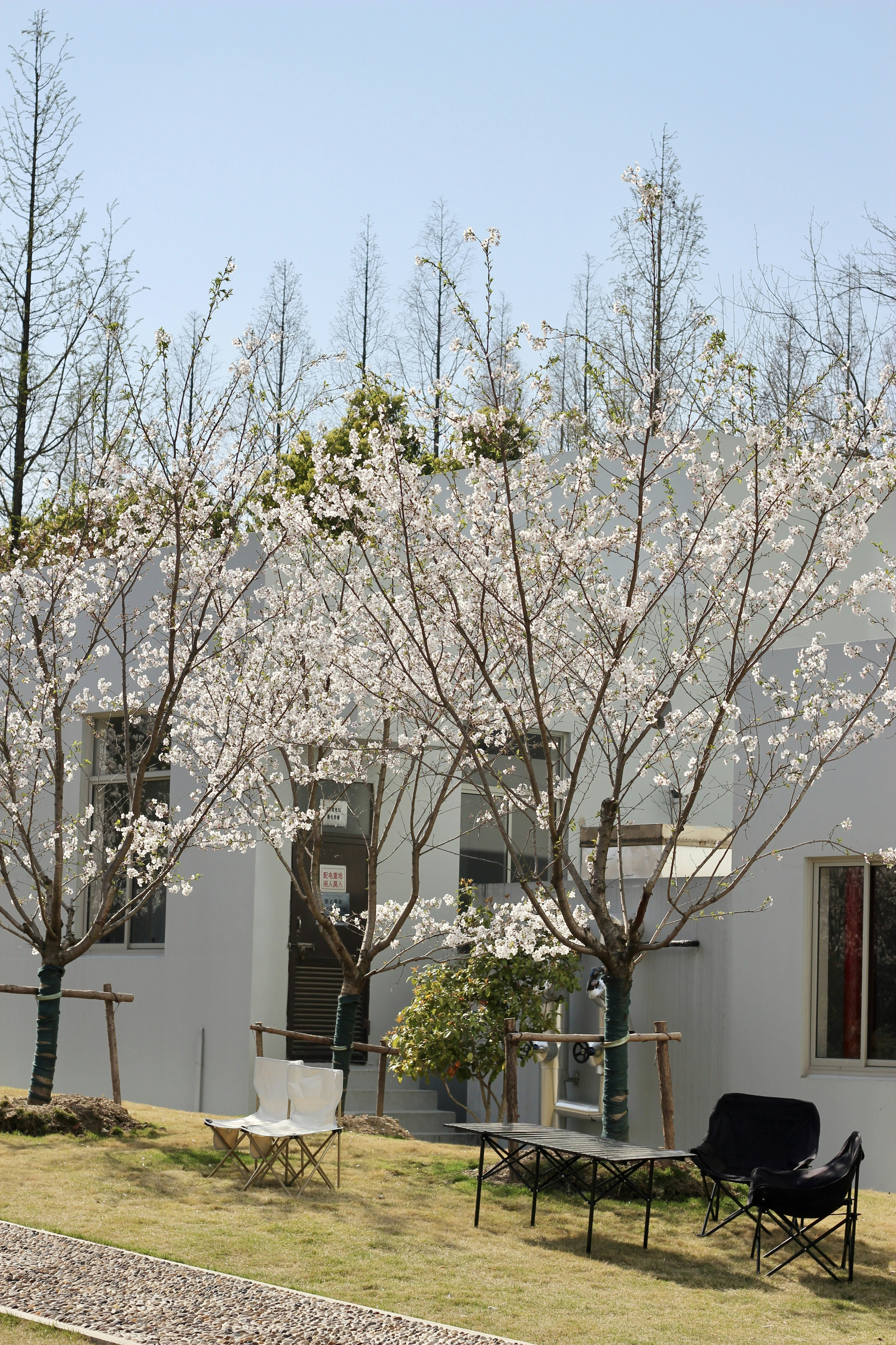 Photo by DOKYUNG KIM with Canon EOS 550D