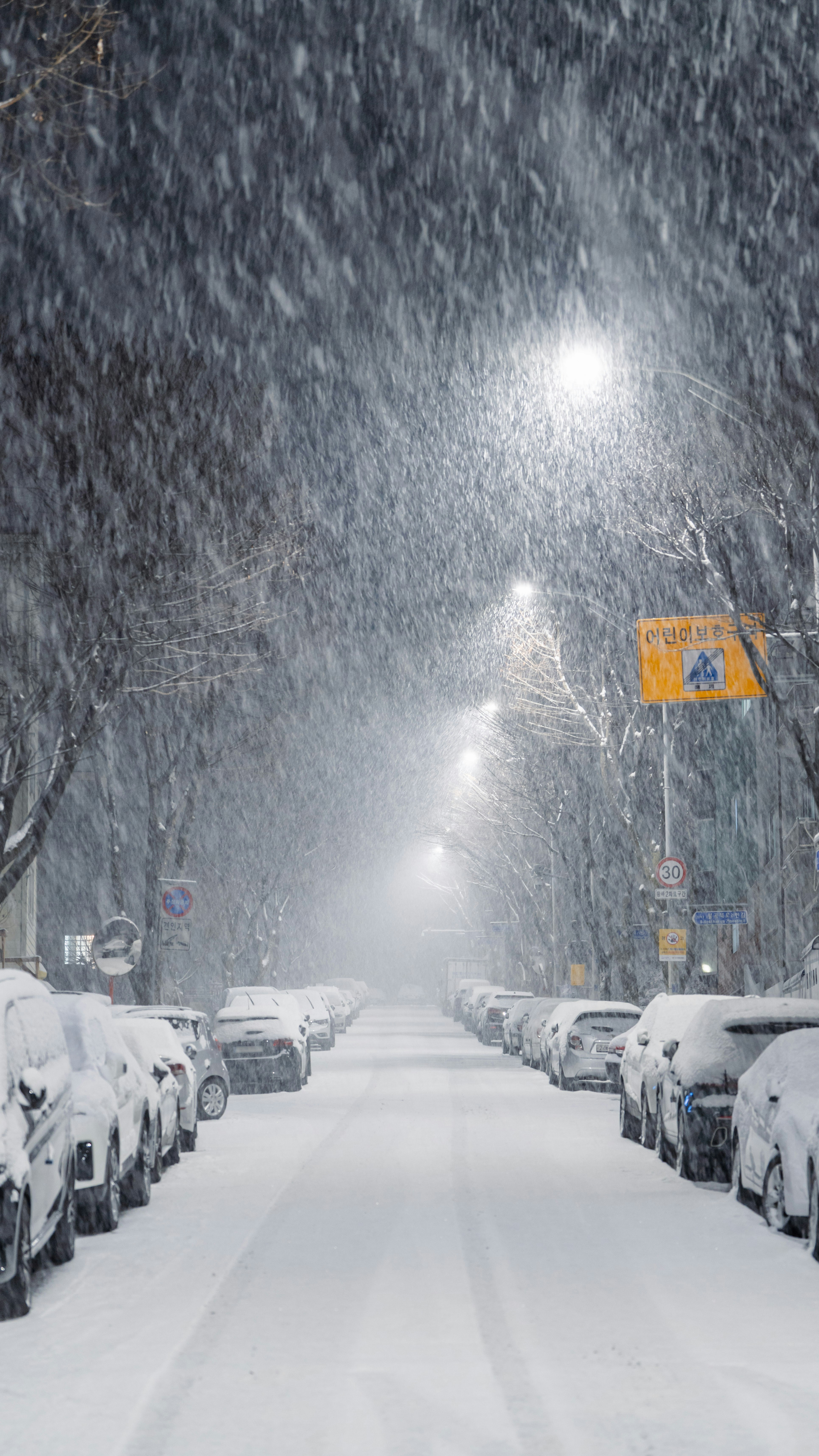 A deserted street blanketed in heavy snowfall, illuminated by streetlights that pierce through the flurry. Snow-covered cars line the sides, creating a serene winter scene.