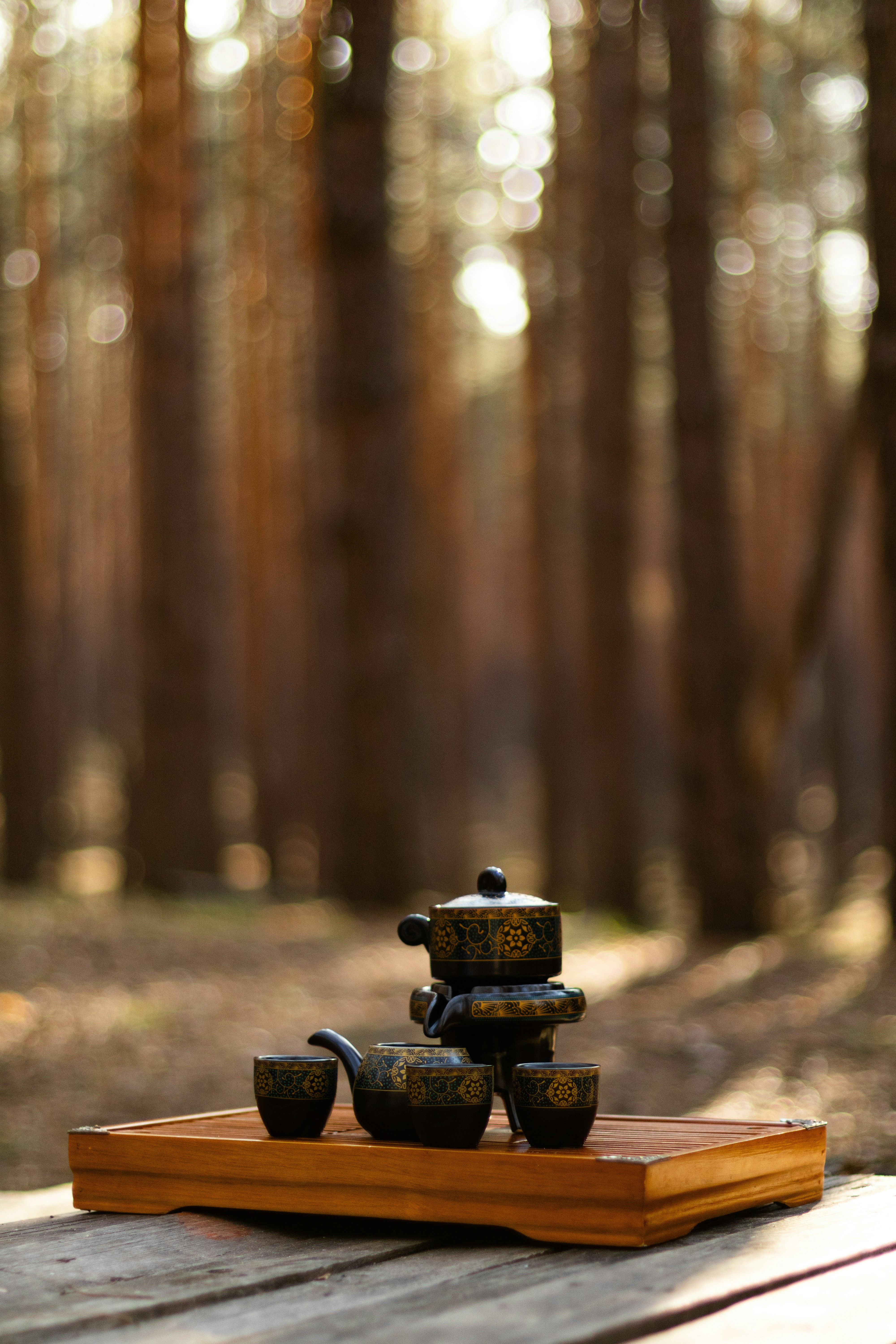 Tea set displayed outdoors in front of trees. photo – Free Forest Image ...
