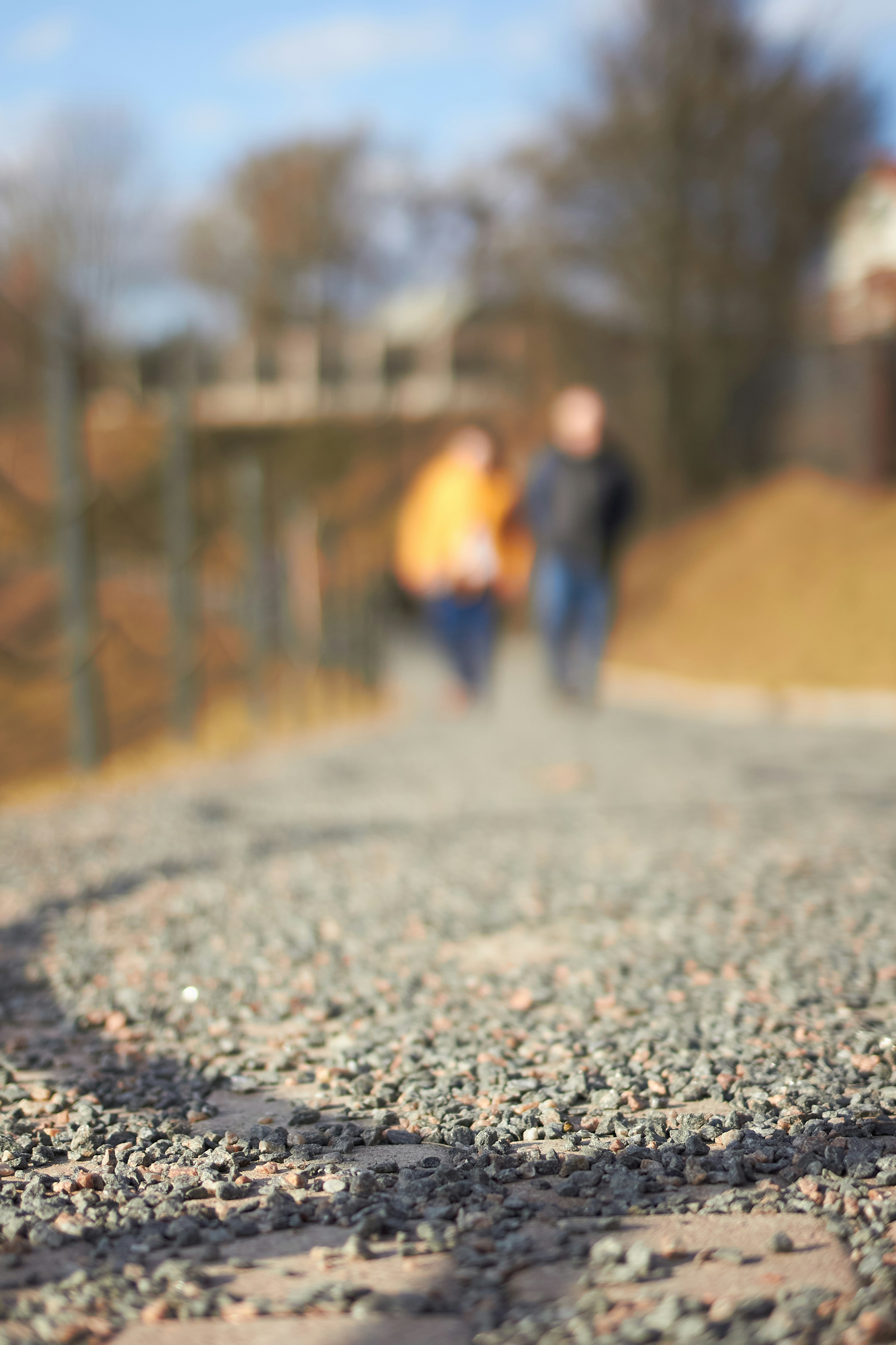 Blurry Path to Companions