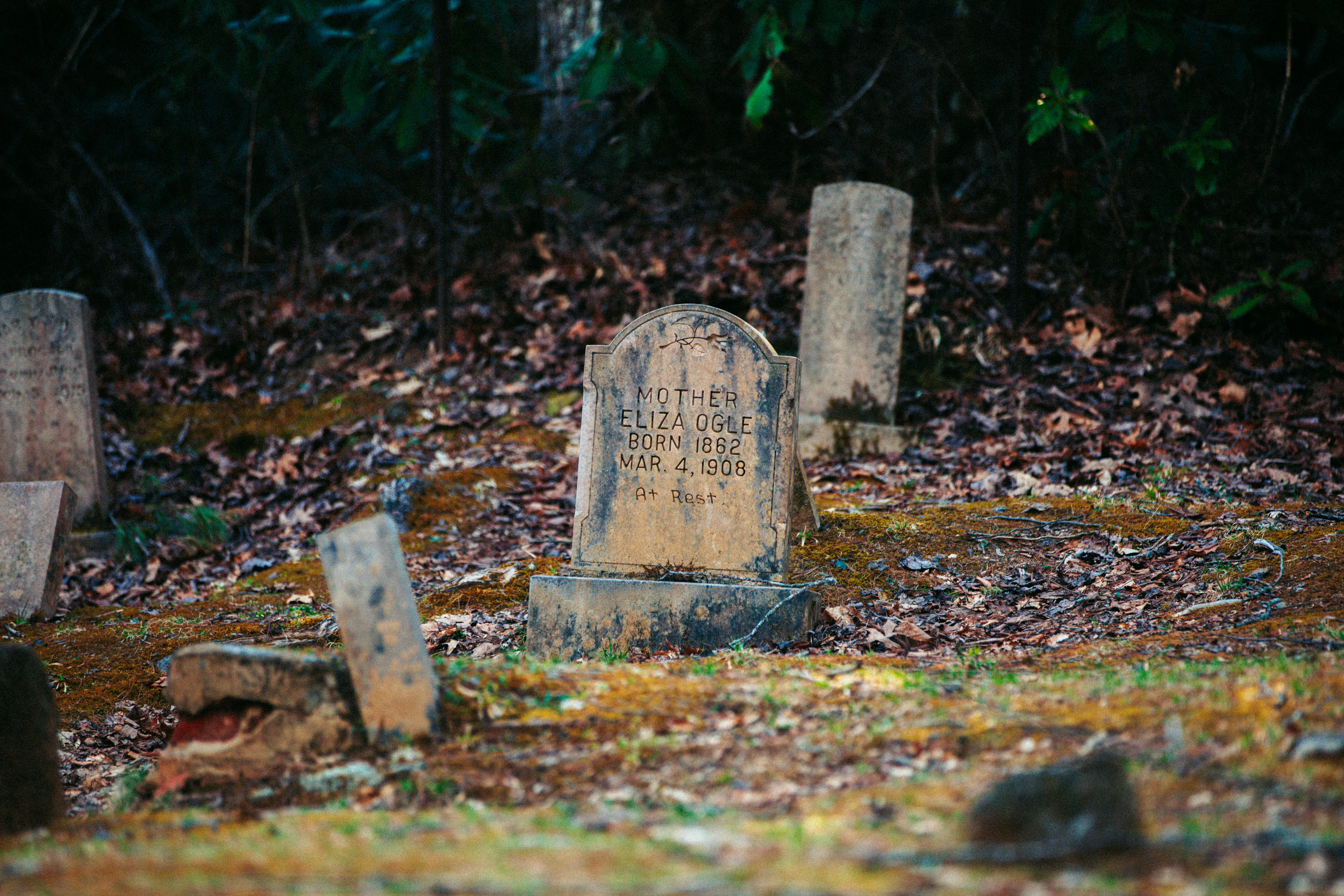 Weathered gravestone marking the resting place of Eliza Ogle, born 1892, with surrounding foliage and fallen leaves.