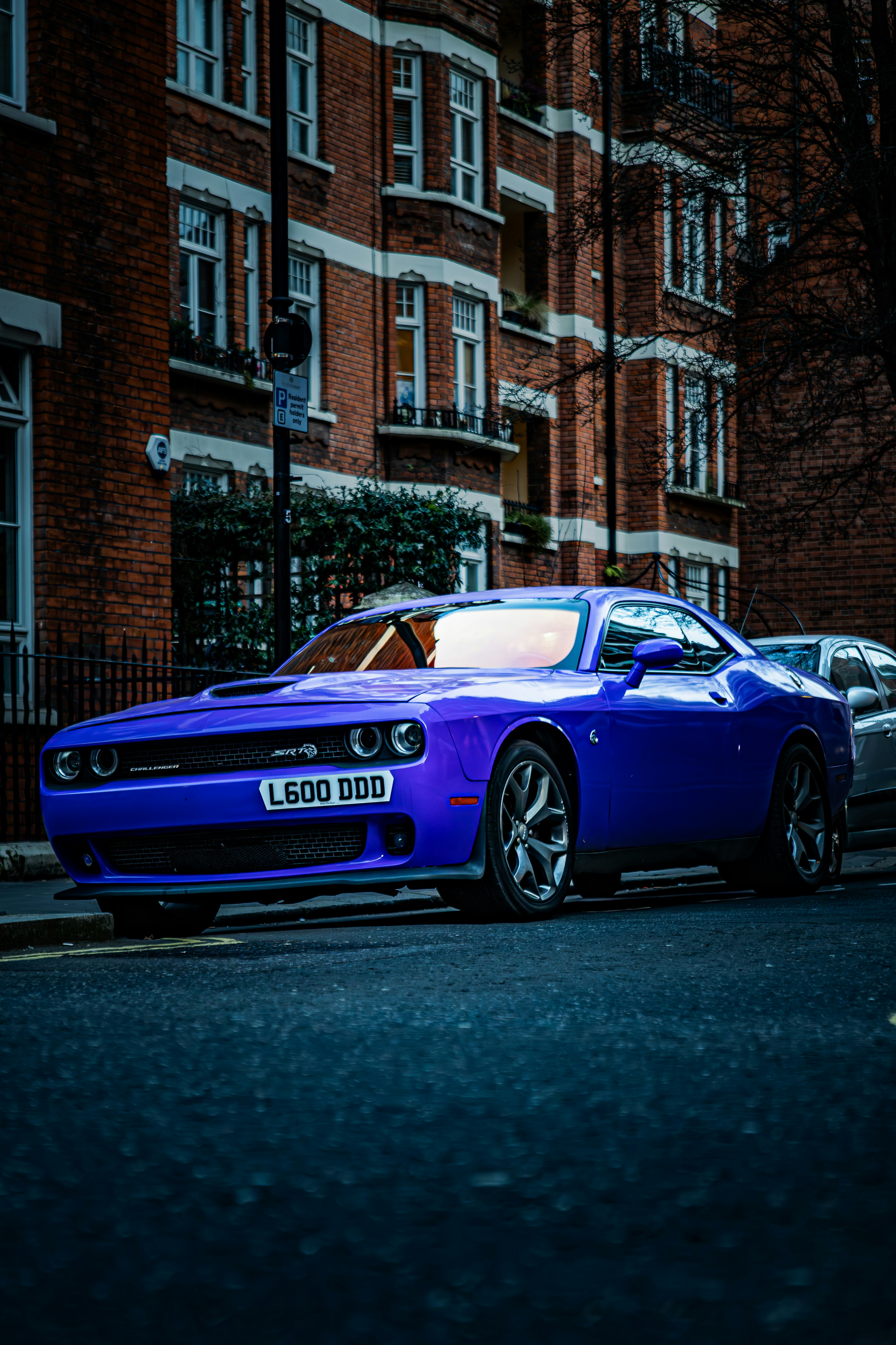 Violet Vroom: A Modern Muscle Marvel
