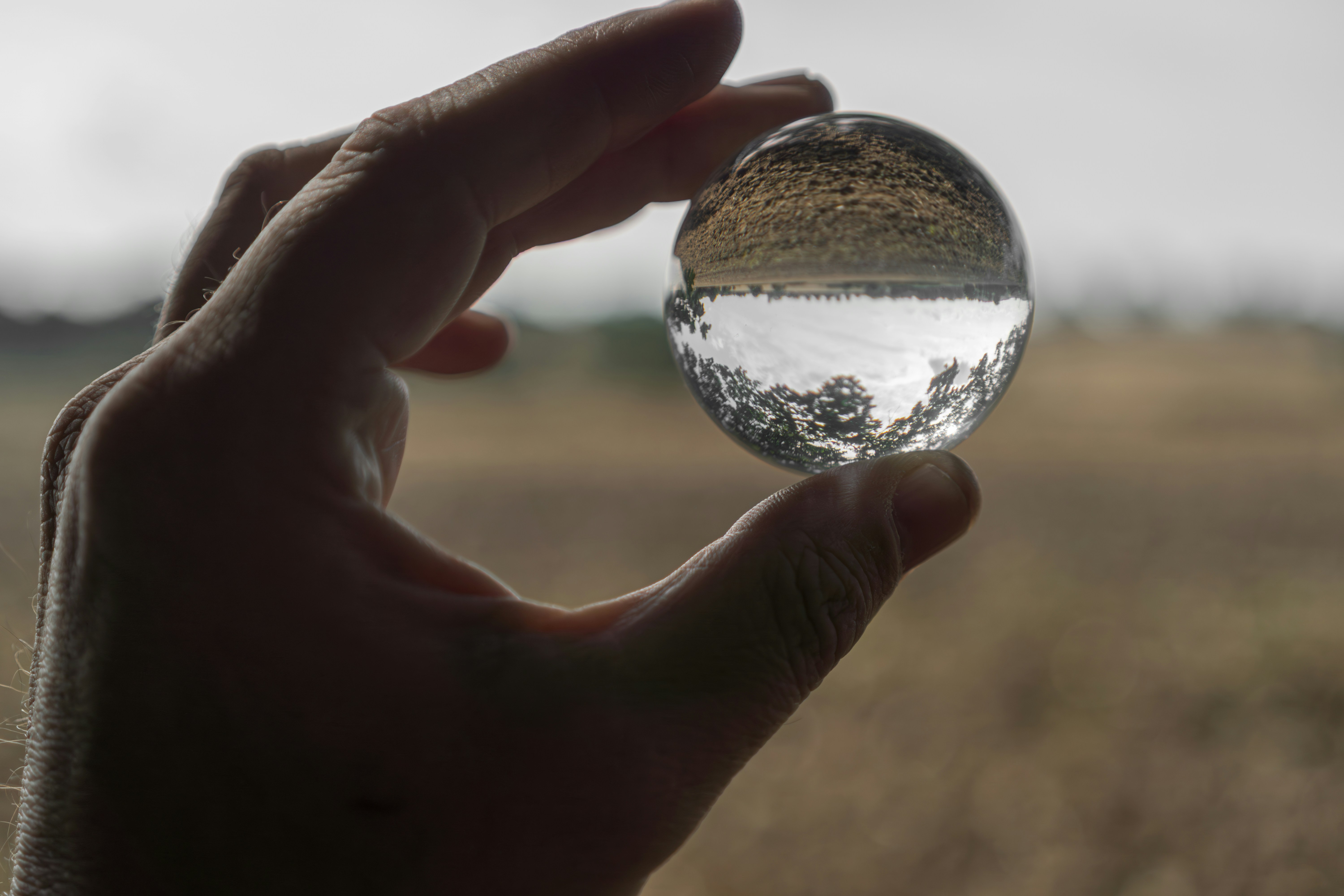 Hand holding a glass sphere reflecting the landscape. photo – Free ...