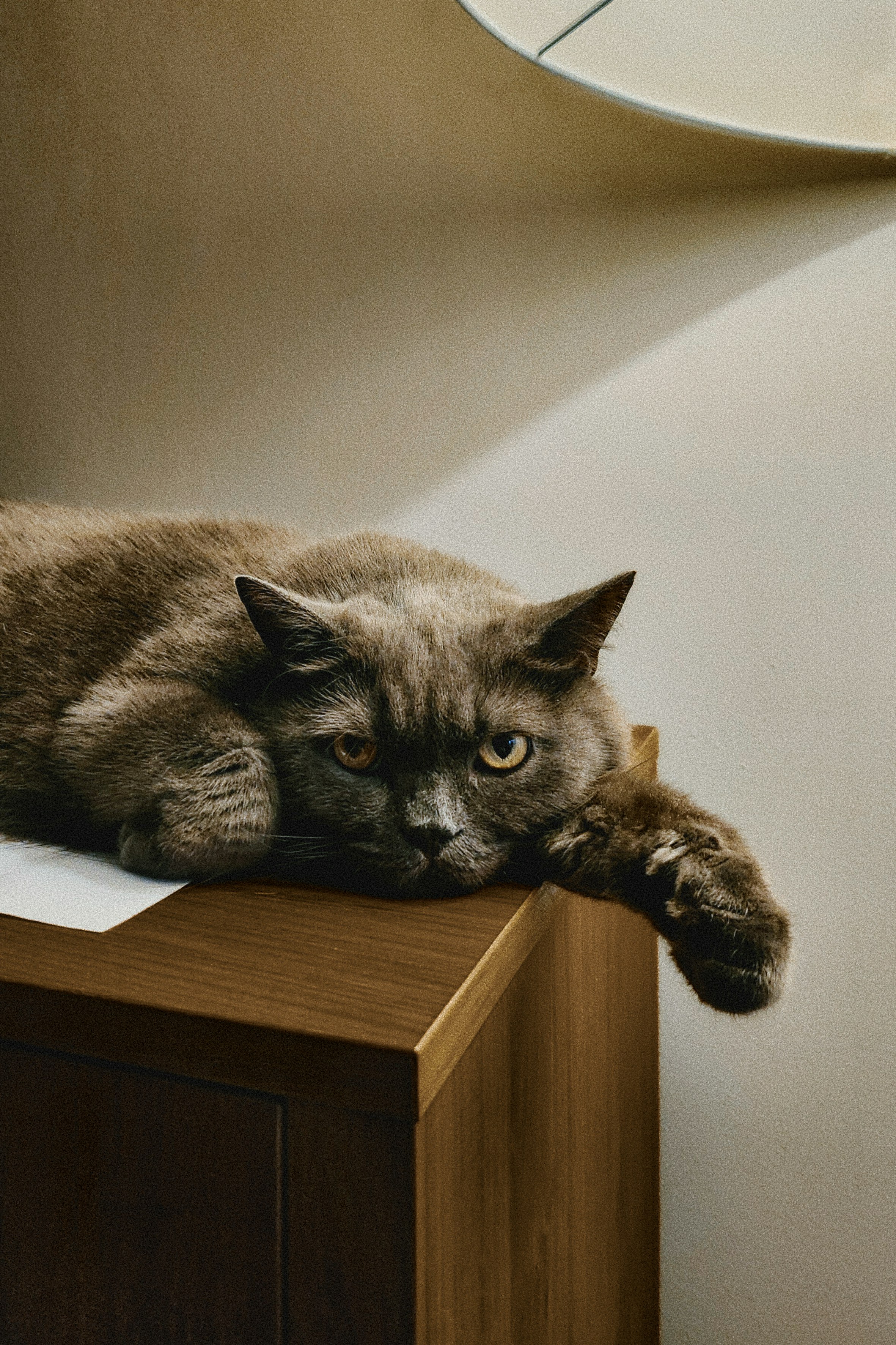 Photo by Evgeniya Pron with Samsung Galaxy Z Flip4