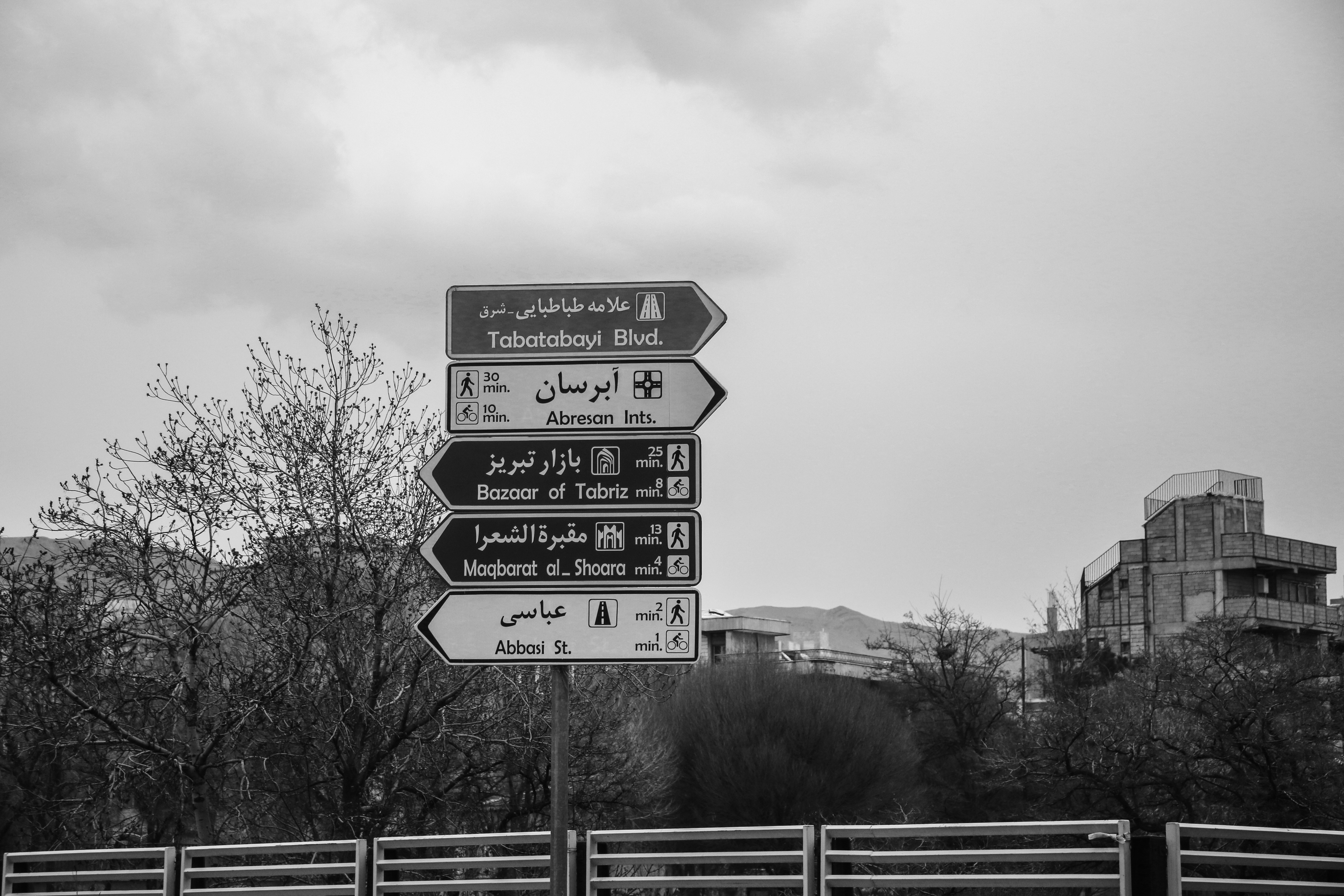 Monochrome Junction: A Multilingual Signpost Guiding a Quiet City