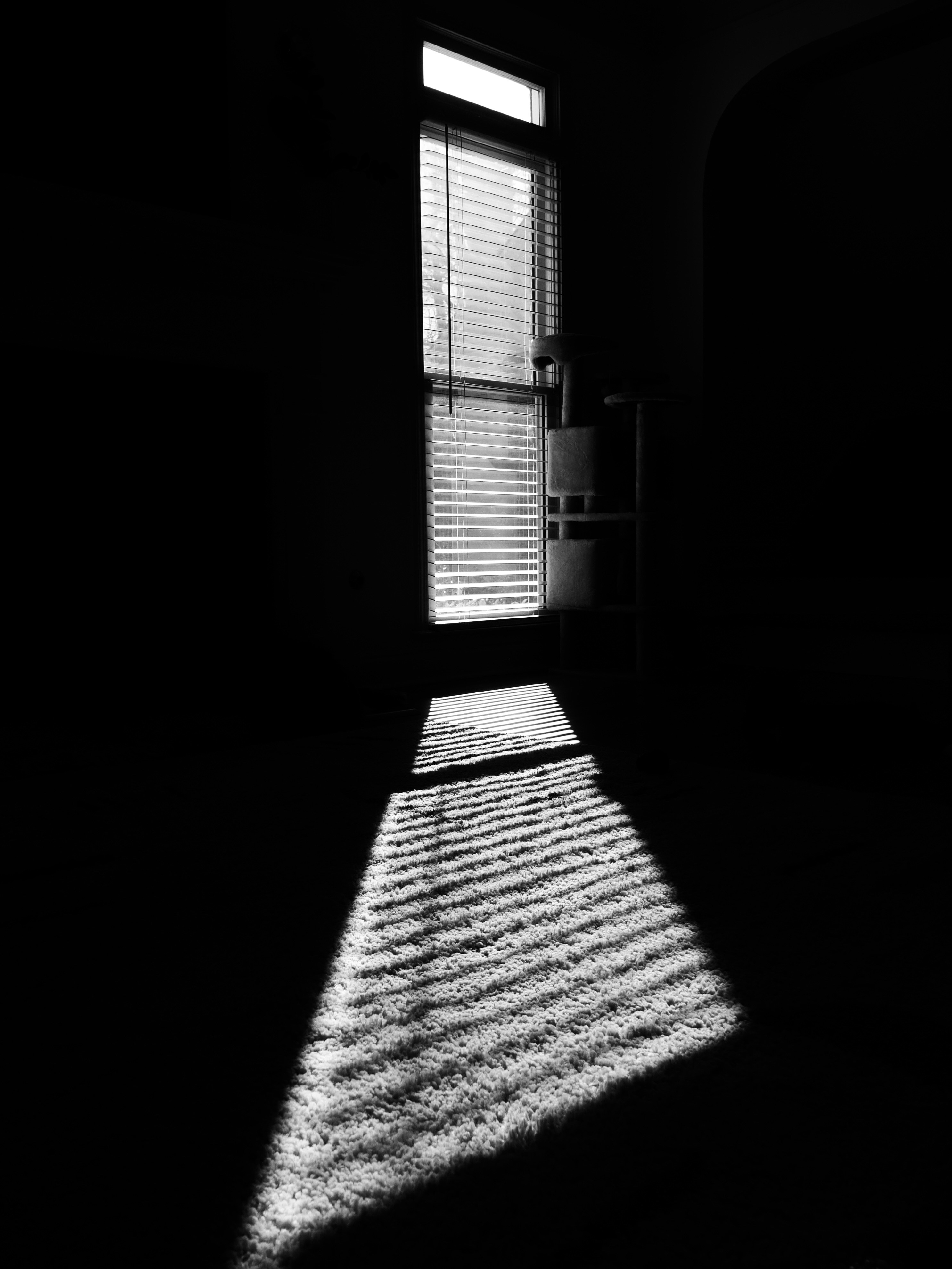 Light shines through blinds in a dark room. photo – Free Window Image ...