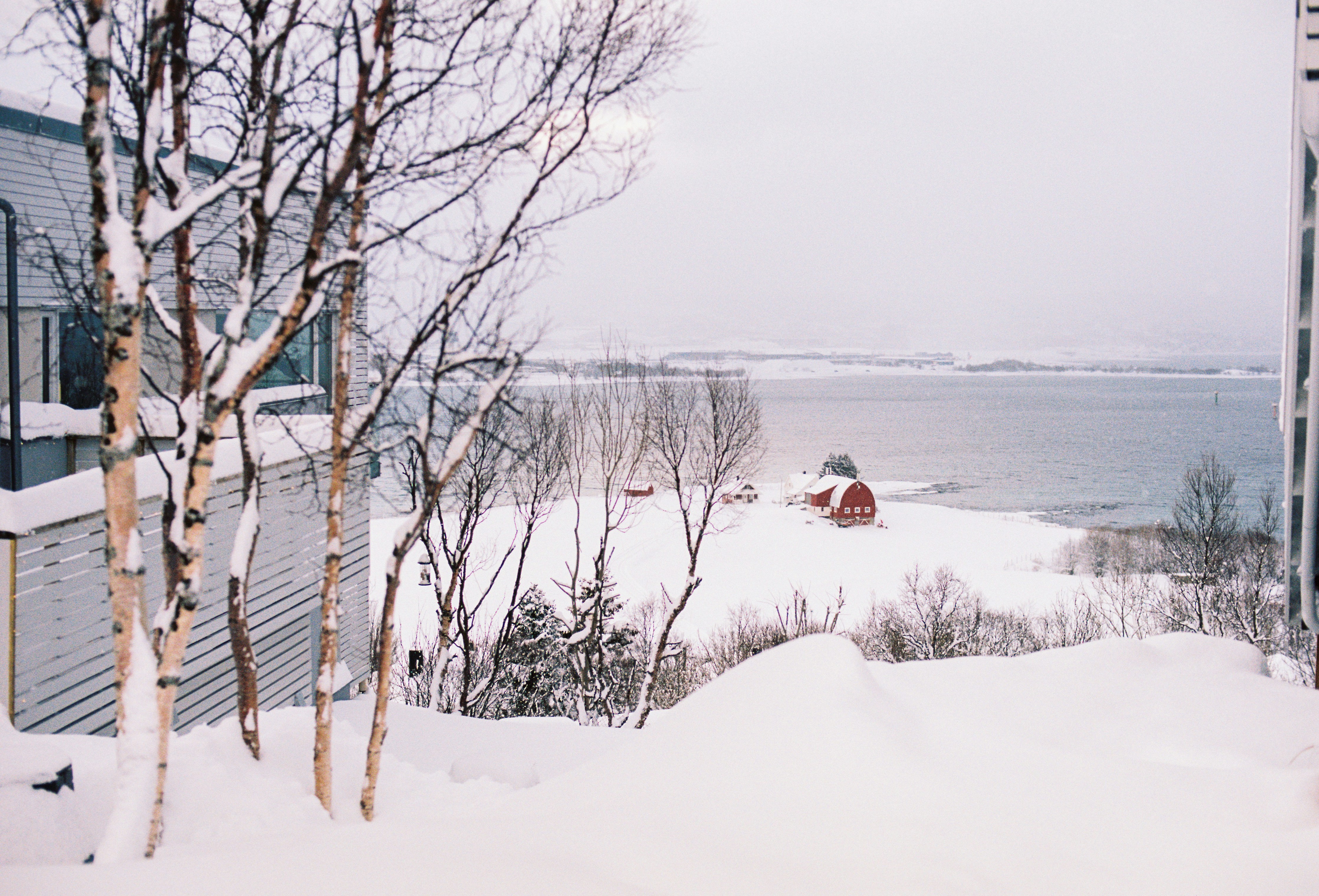 Wintery scene with snow, water, and buildings. photo – Free Winter ...