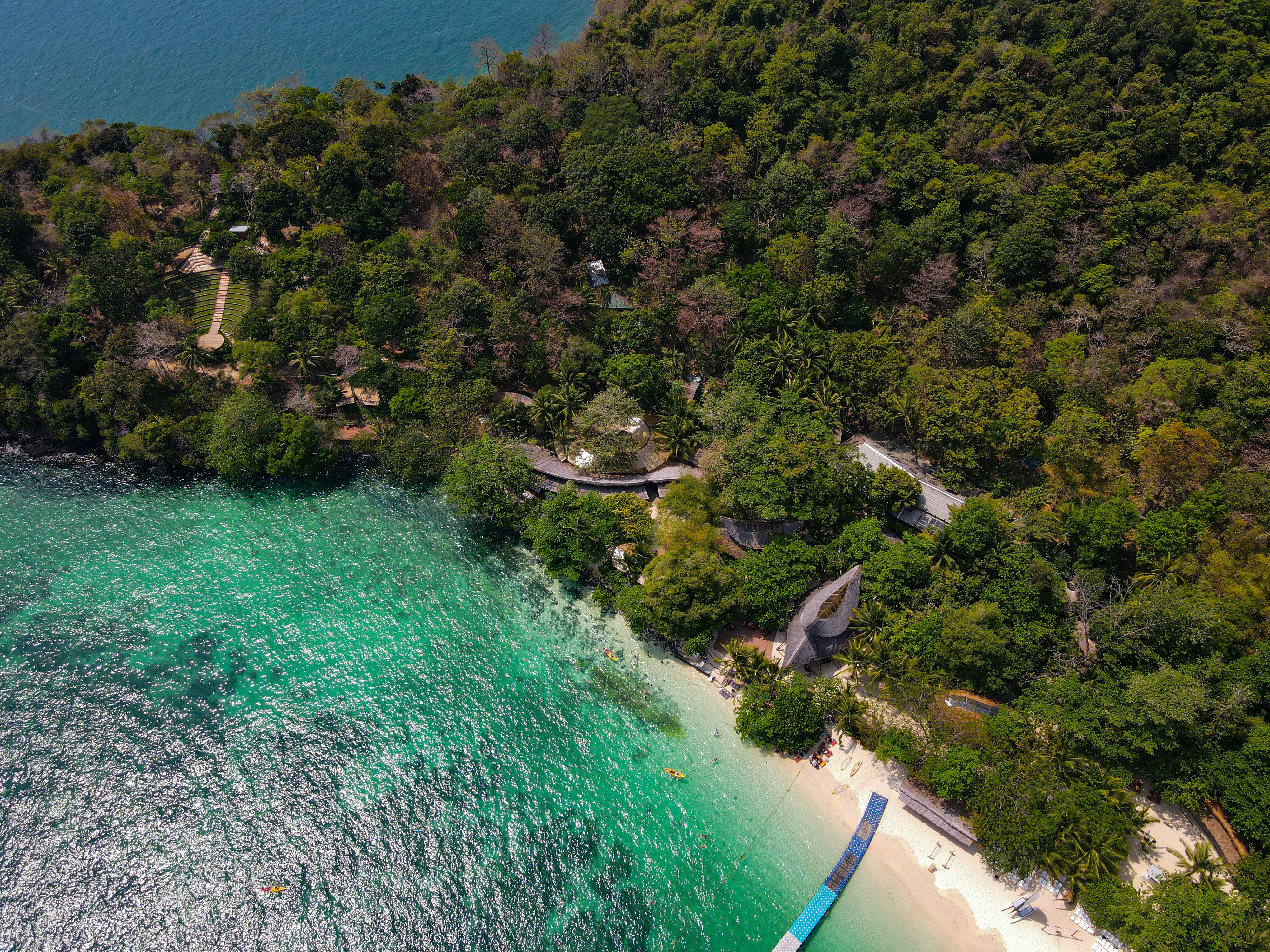 Aerial view of a lush green forest meeting a turquoise shoreline with gentle waves.