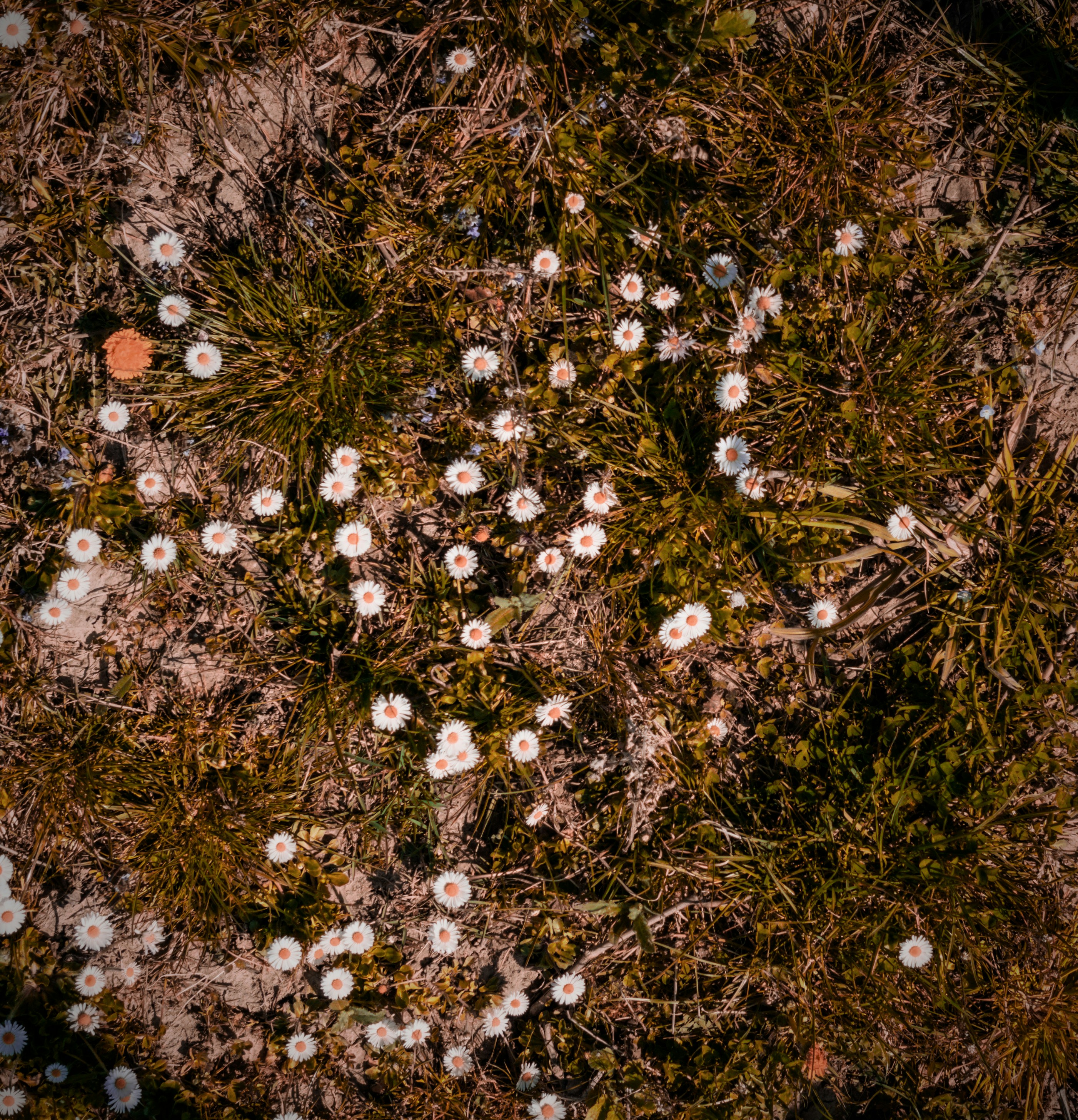 Photo by Bernd 📷 Dittrich with DJI Air 3S