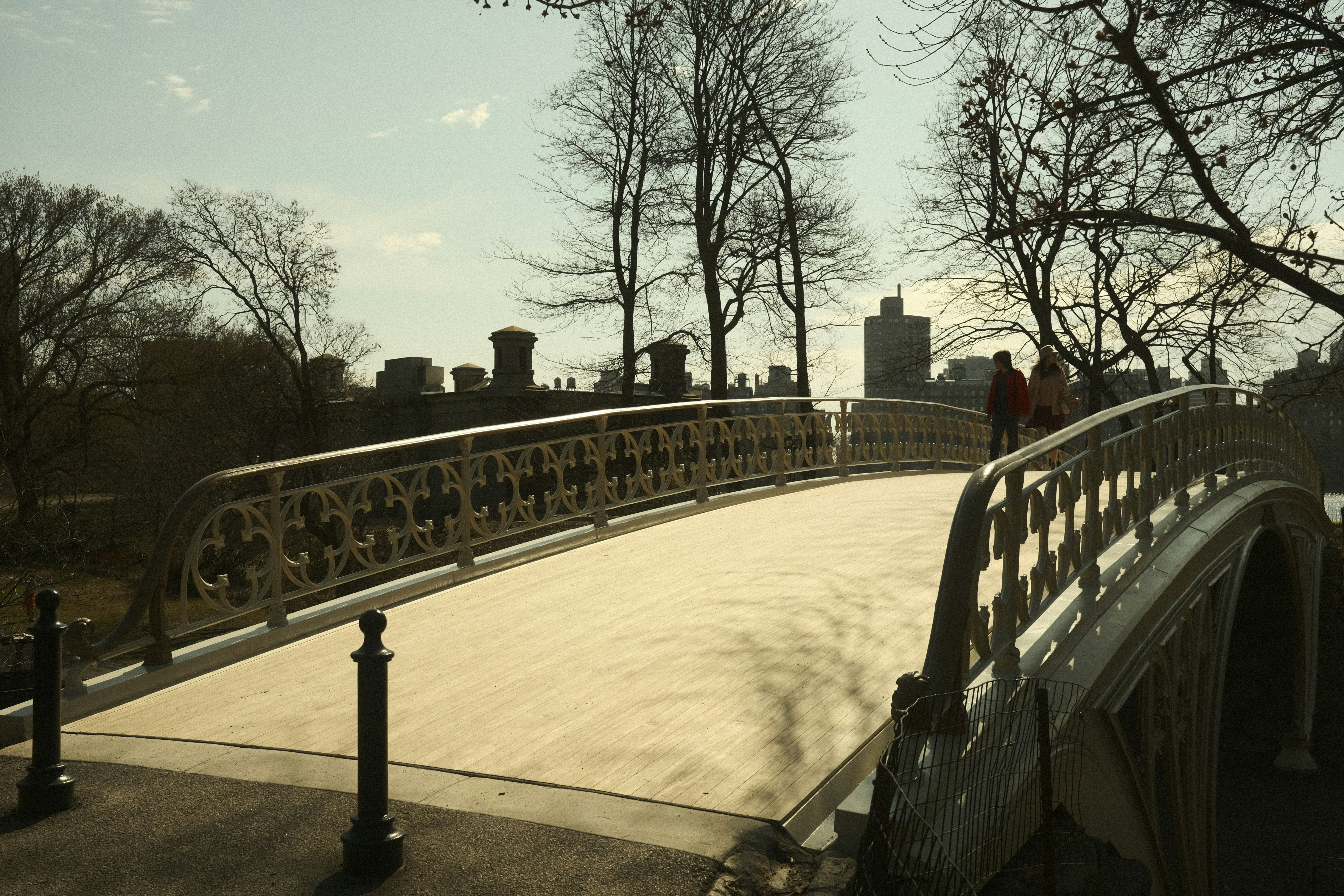 Elegant bridge in Central Park under soft afternoon light, framed by bare winter trees.