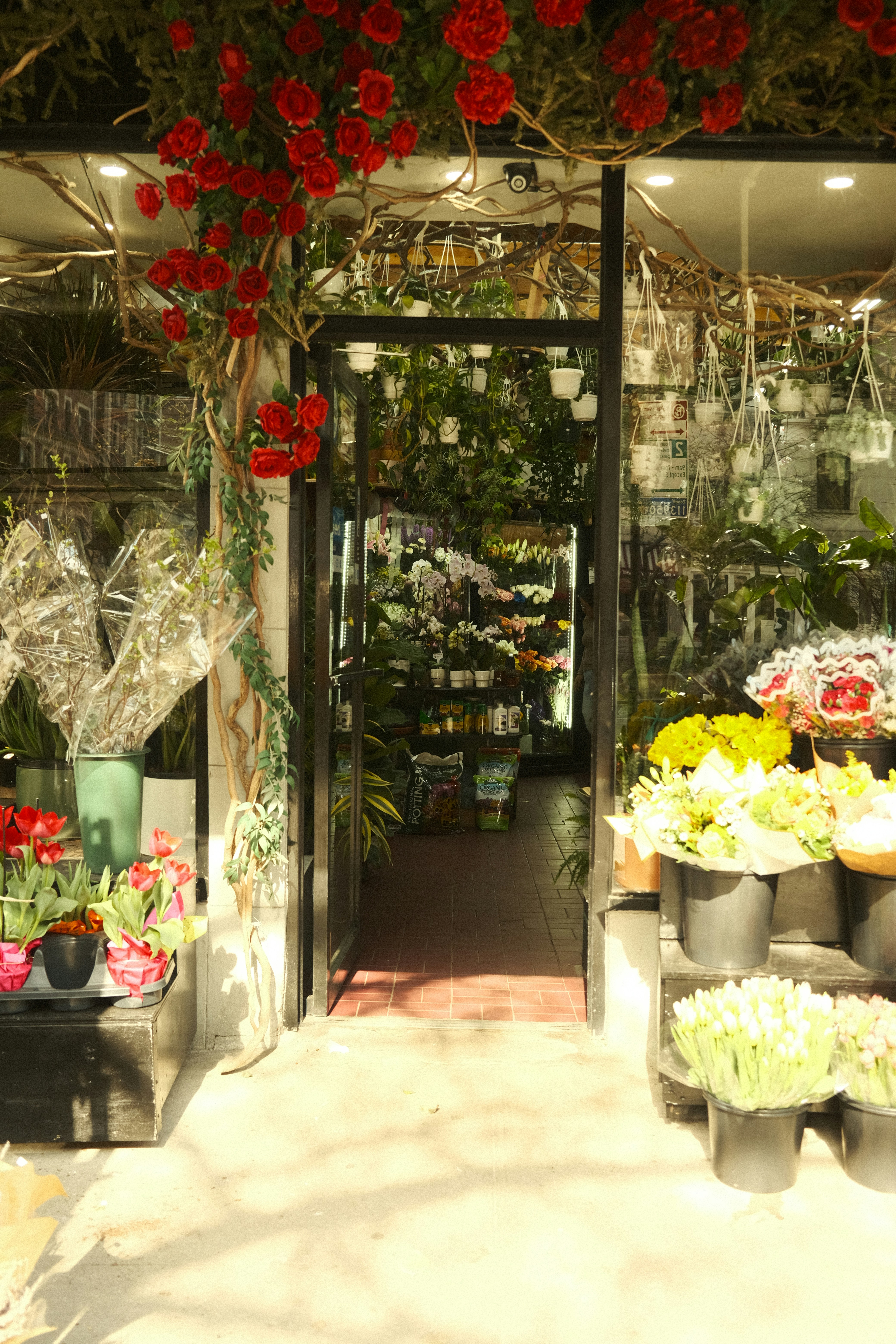 A beautiful flower shop entrance, filled with blooms. photo – Free ...