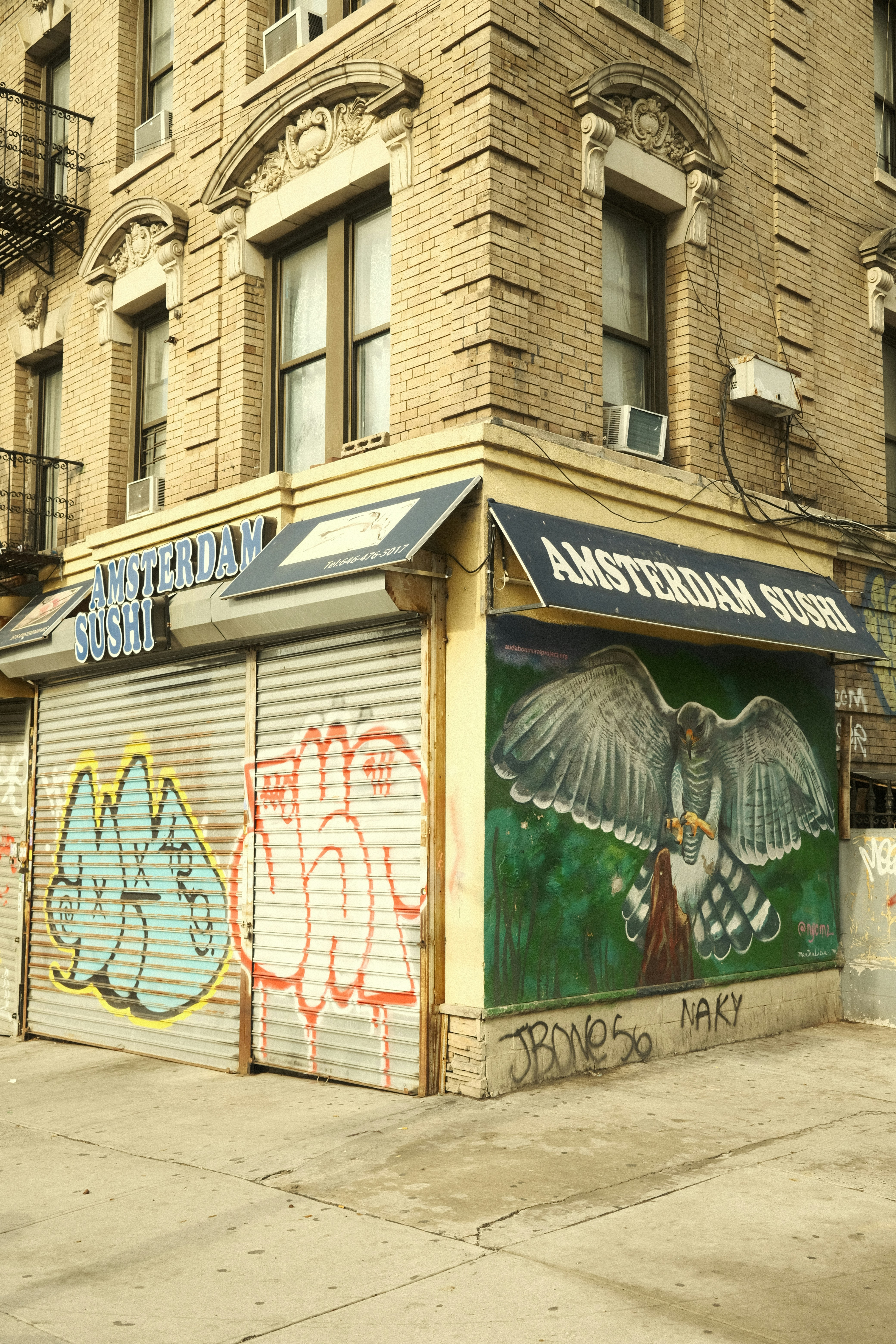 Winged Guardian Over Amsterdam Sushi: A Brick-Corner Graffiti Portrait