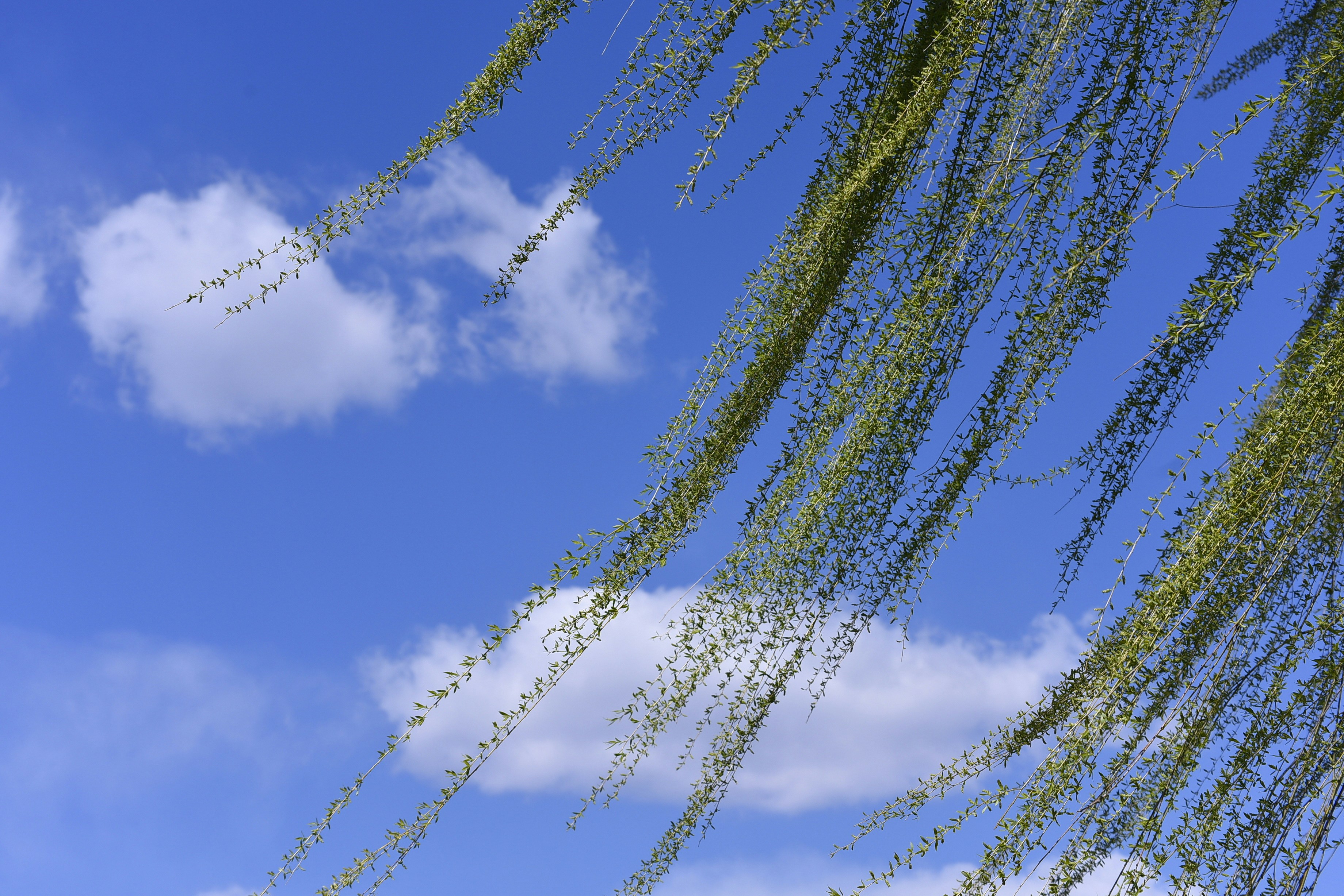 Windy Sky Pictures | Download Free Images on Unsplash