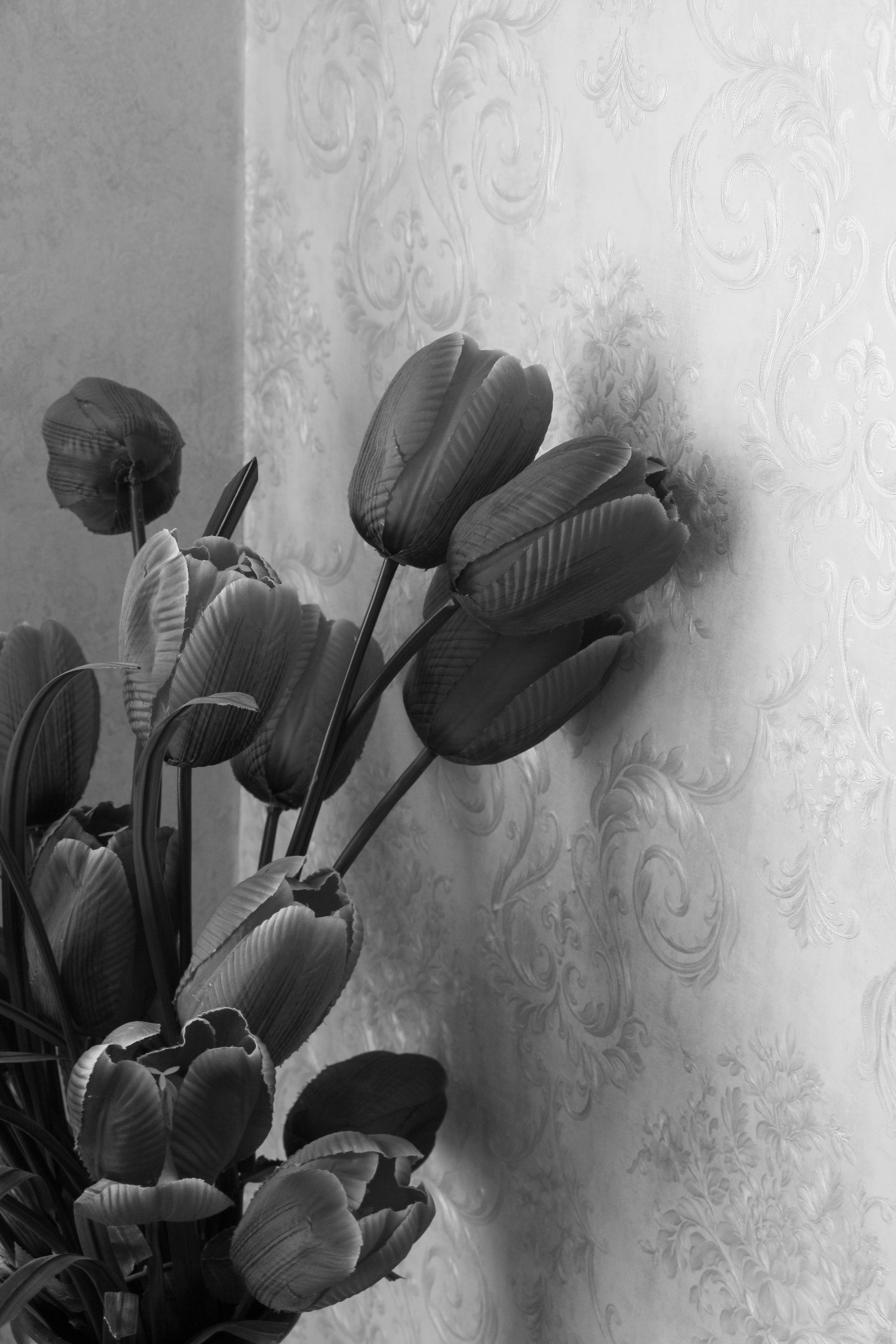 Elegance in Monochrome: A Floral Tribute