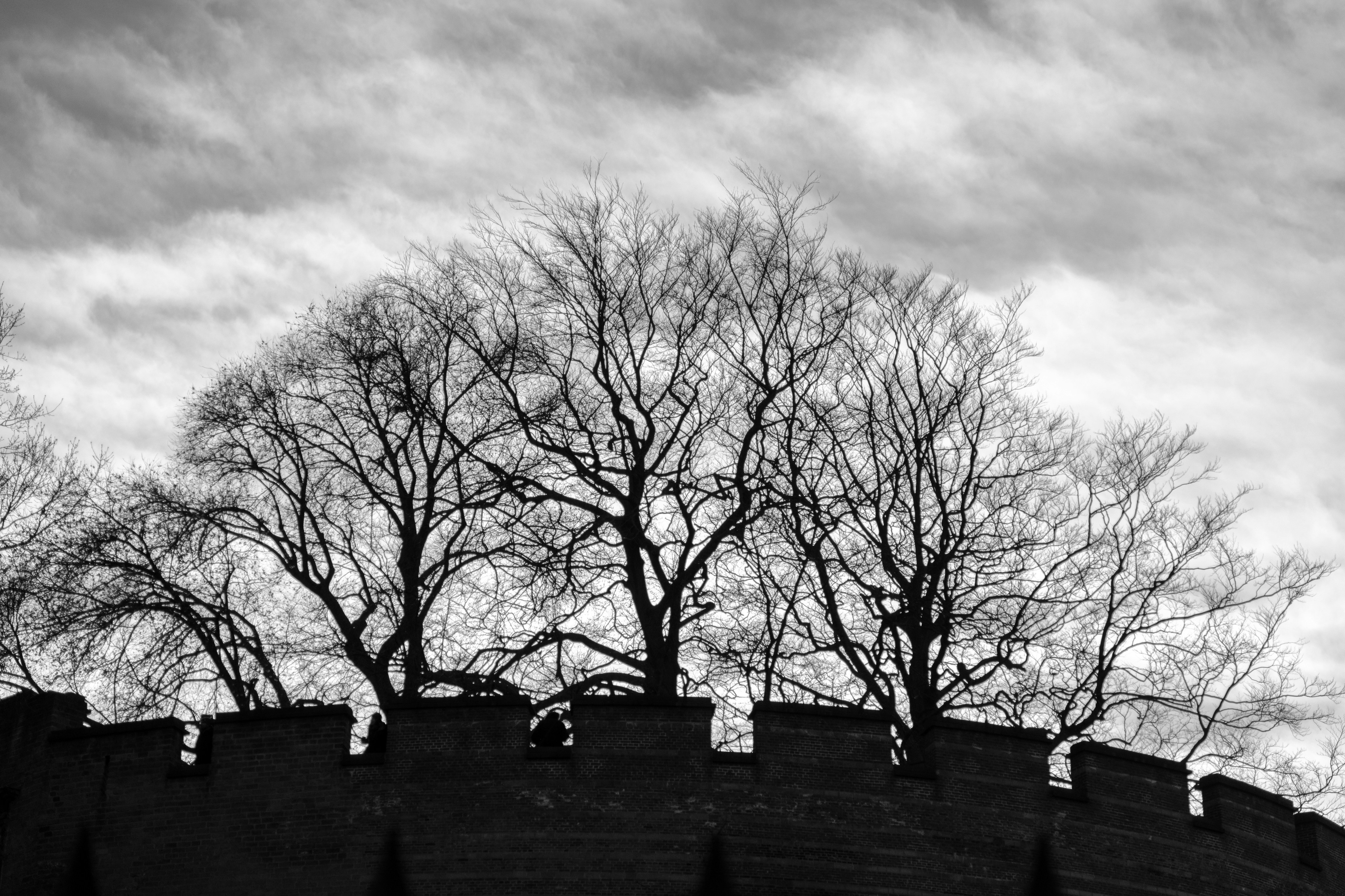 Barren Trees Crown the Fortress Silhouette