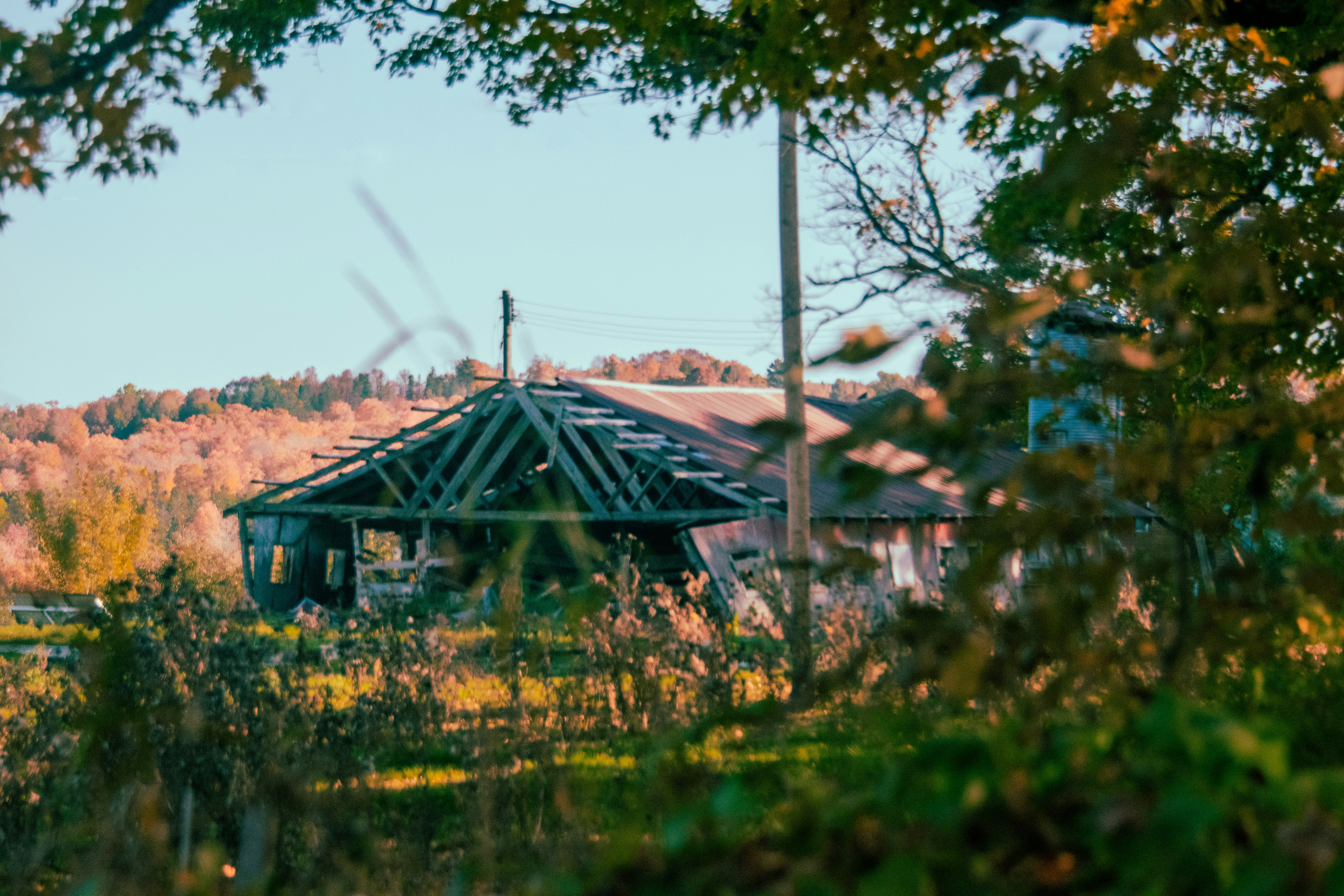 Old barn framed by autumn leaves under a clear sky.
