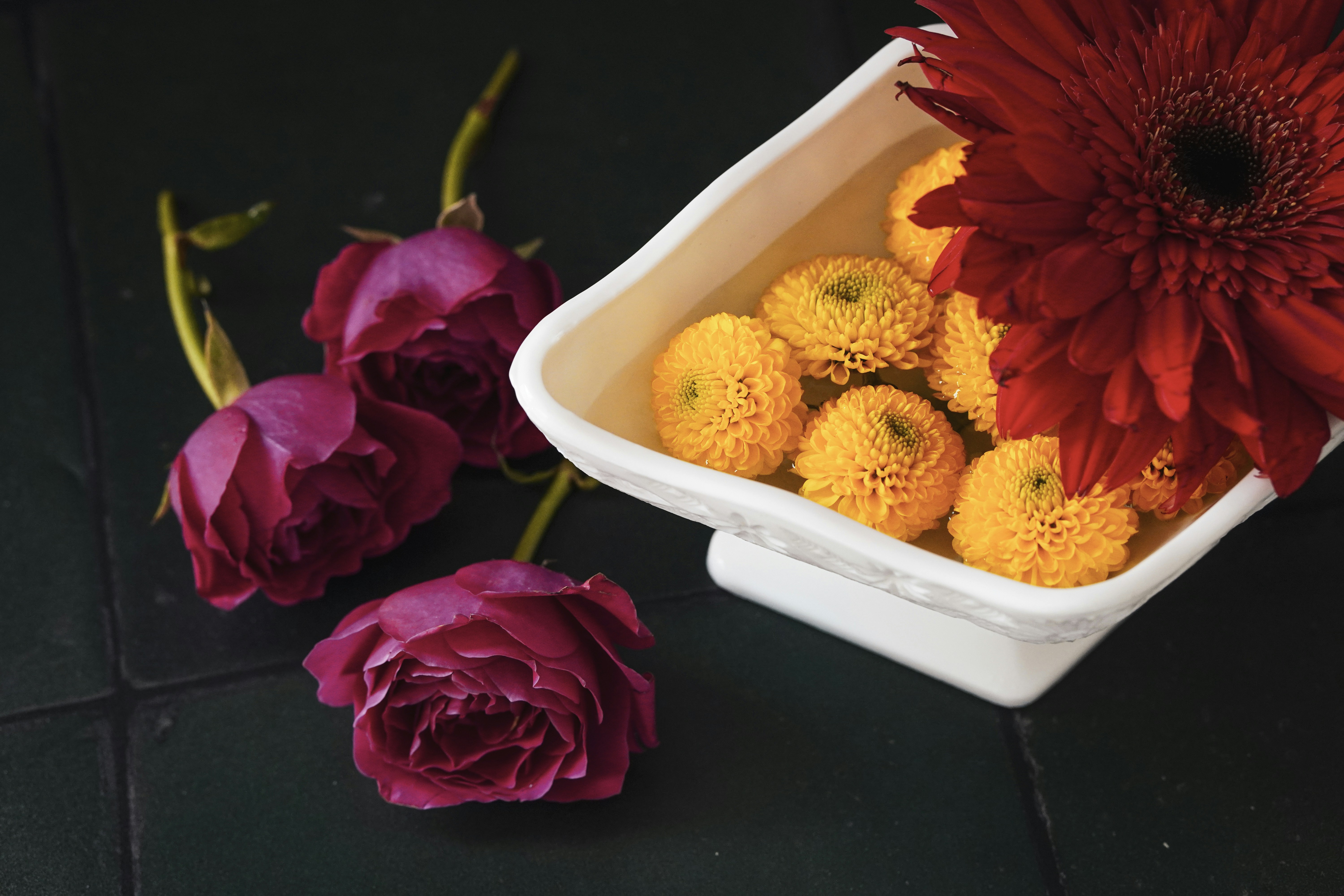 Vivid red and purple flowers arranged with bright yellow blooms in a white dish on a dark surface.