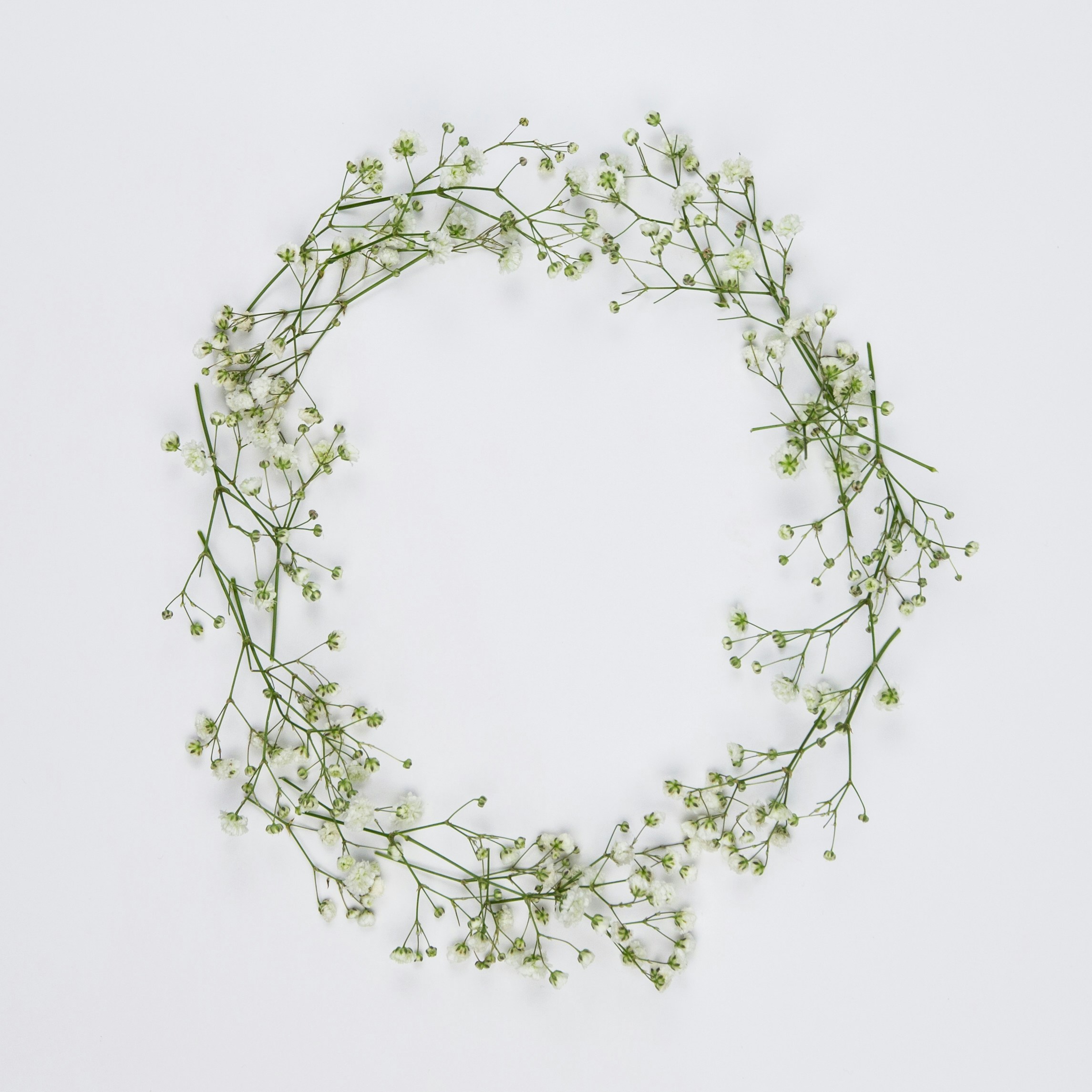 A delicate wreath of tiny white flowers. photo – Free Flower Image on ...